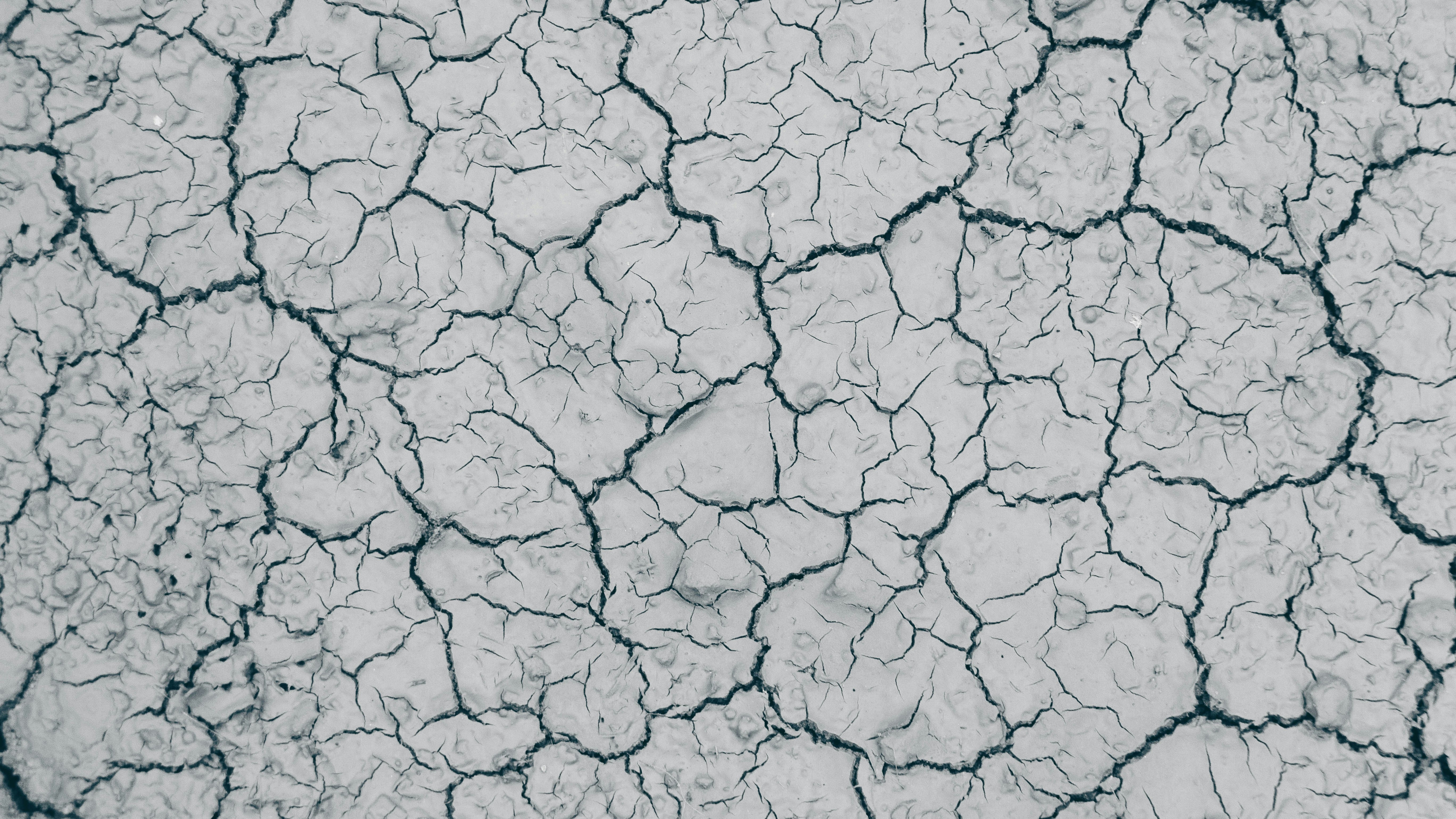 Foto zum Thema Ein Riss im Boden, der wie ein Riss im Boden aussieht ...