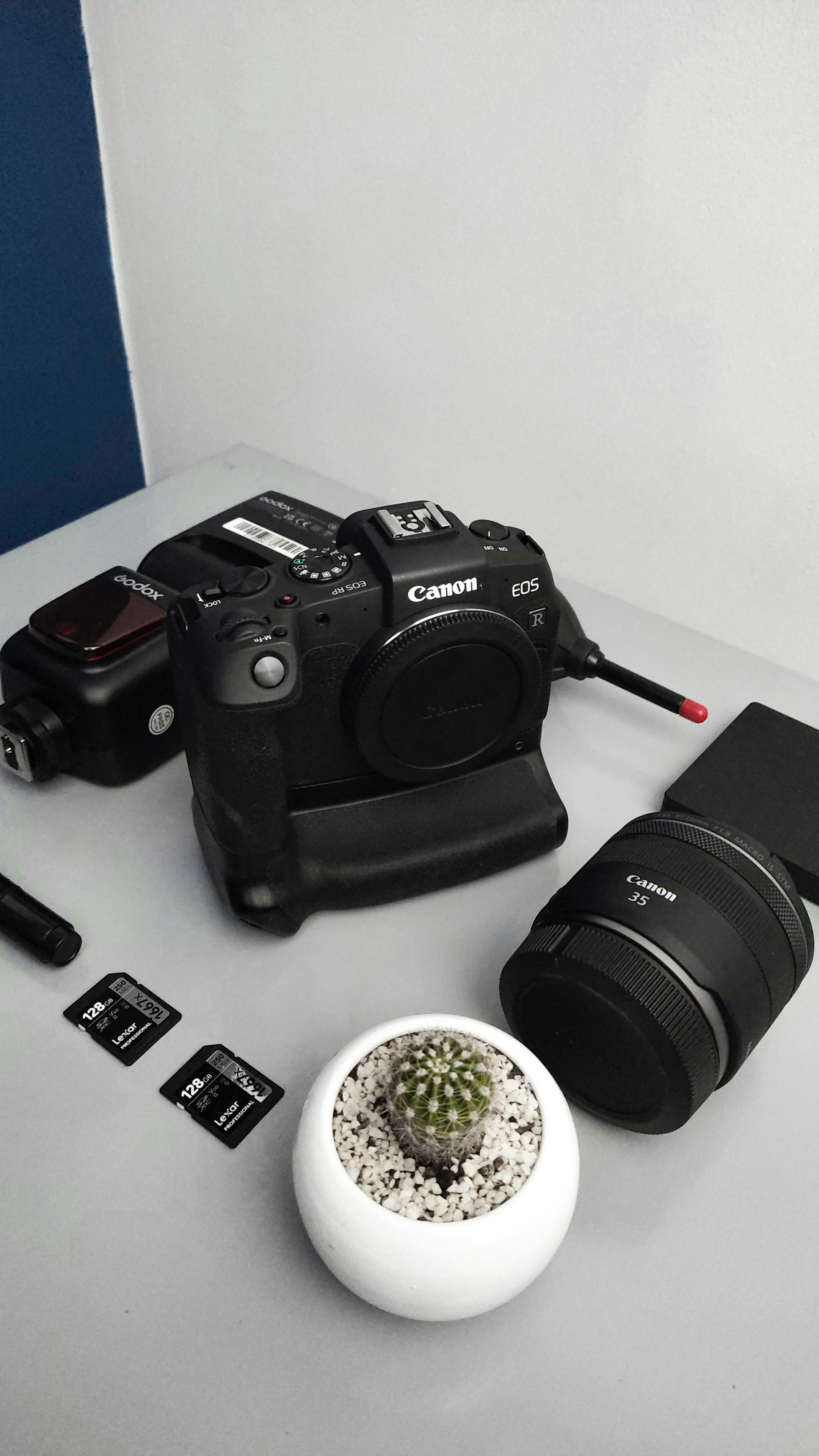 A Canon EOS R camera alongside essential accessories including lenses, memory cards, and a potted cactus, arranged on a clean surface.