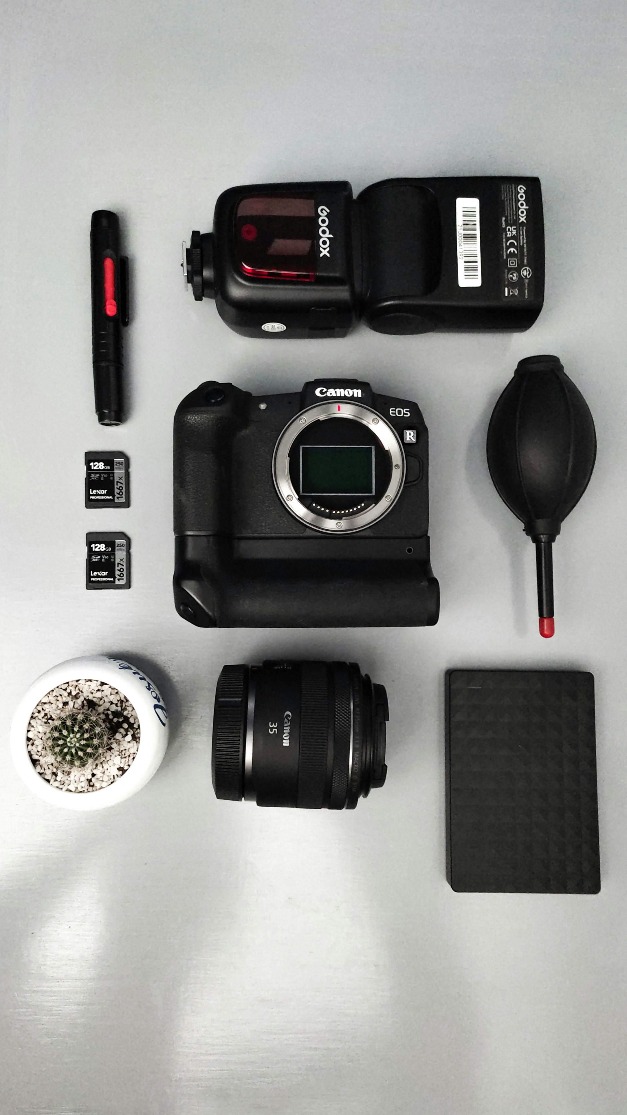 Flat lay arrangement of photography gear including a Canon EOS R camera, lens, flash, memory cards, and a cactus in a pot.
