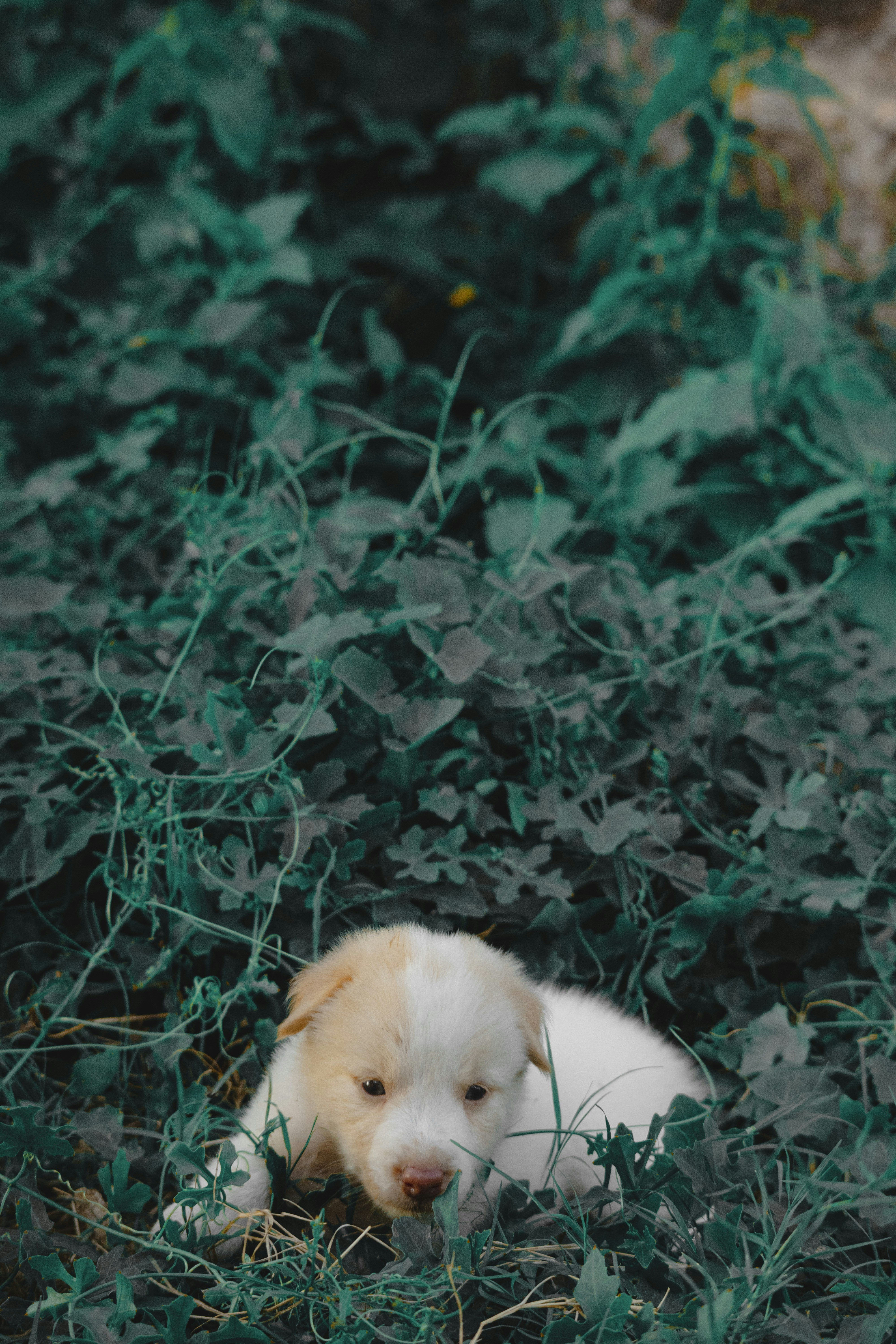 100+ Cute Pictures [HD] | Download Free Images & Stock Photos on Unsplash