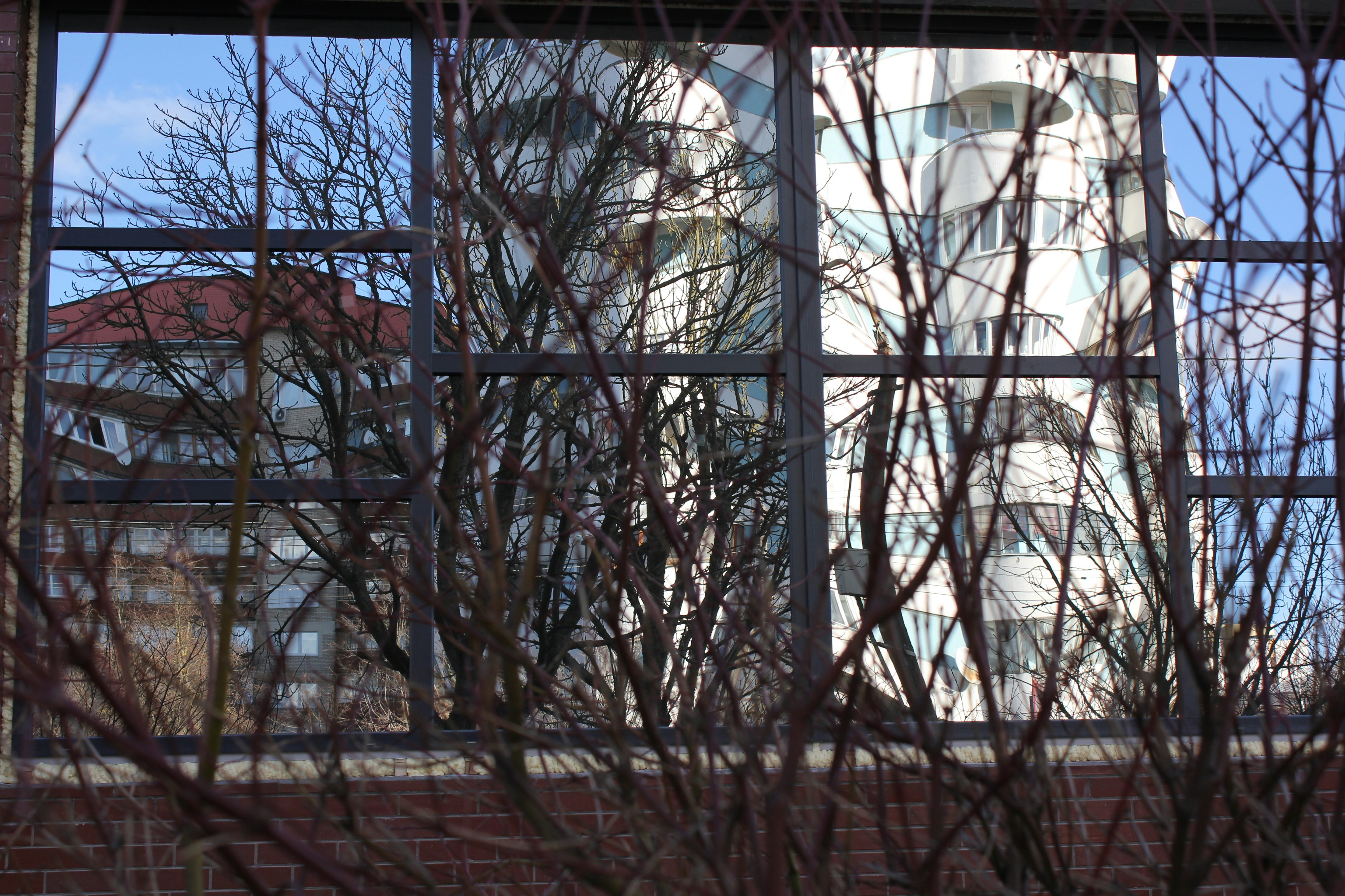 Cityscape reflected in grid-like windows framed by leafless tree branches.