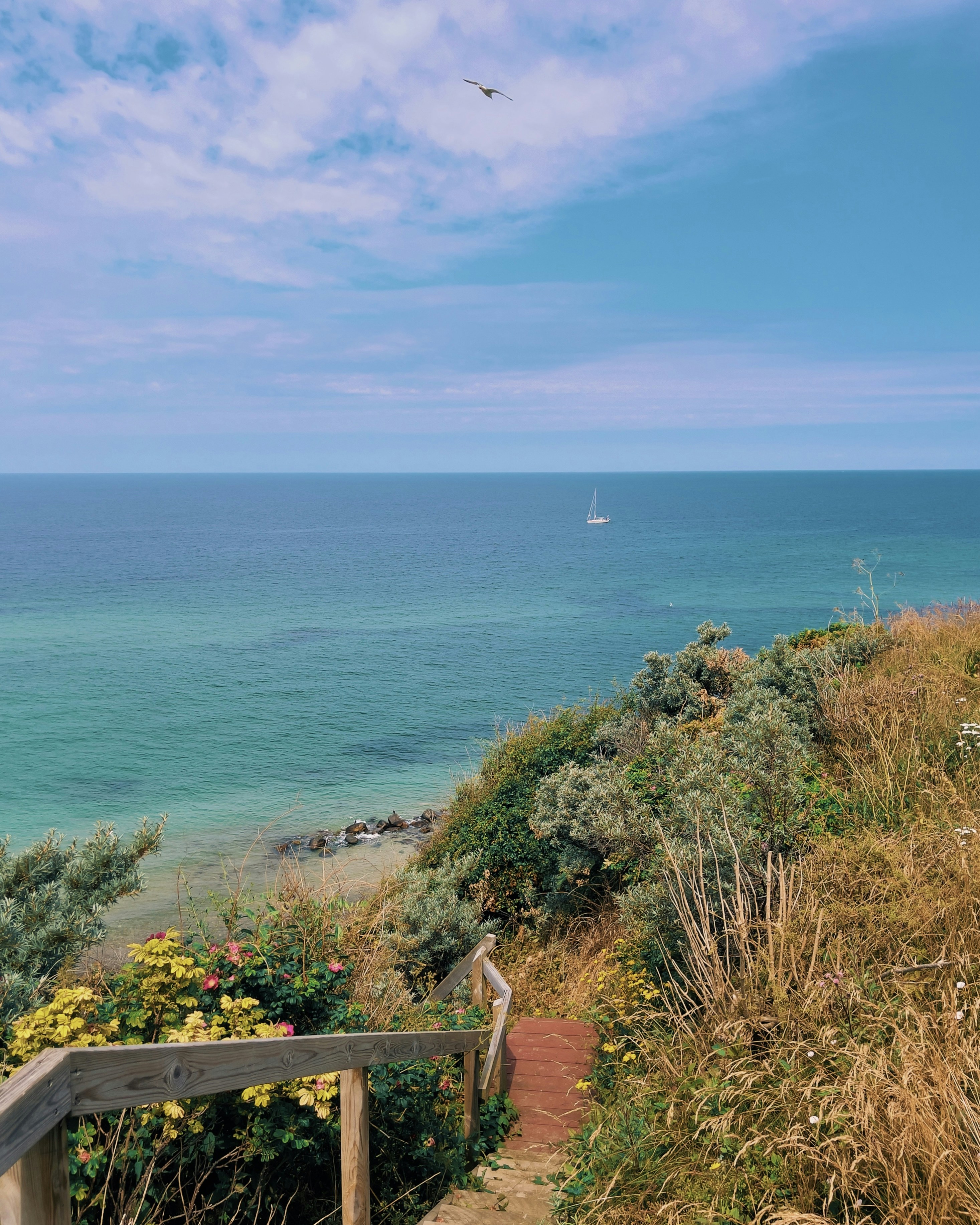 A view of the ocean from the top of a hill photo – Free Vejby strand ...