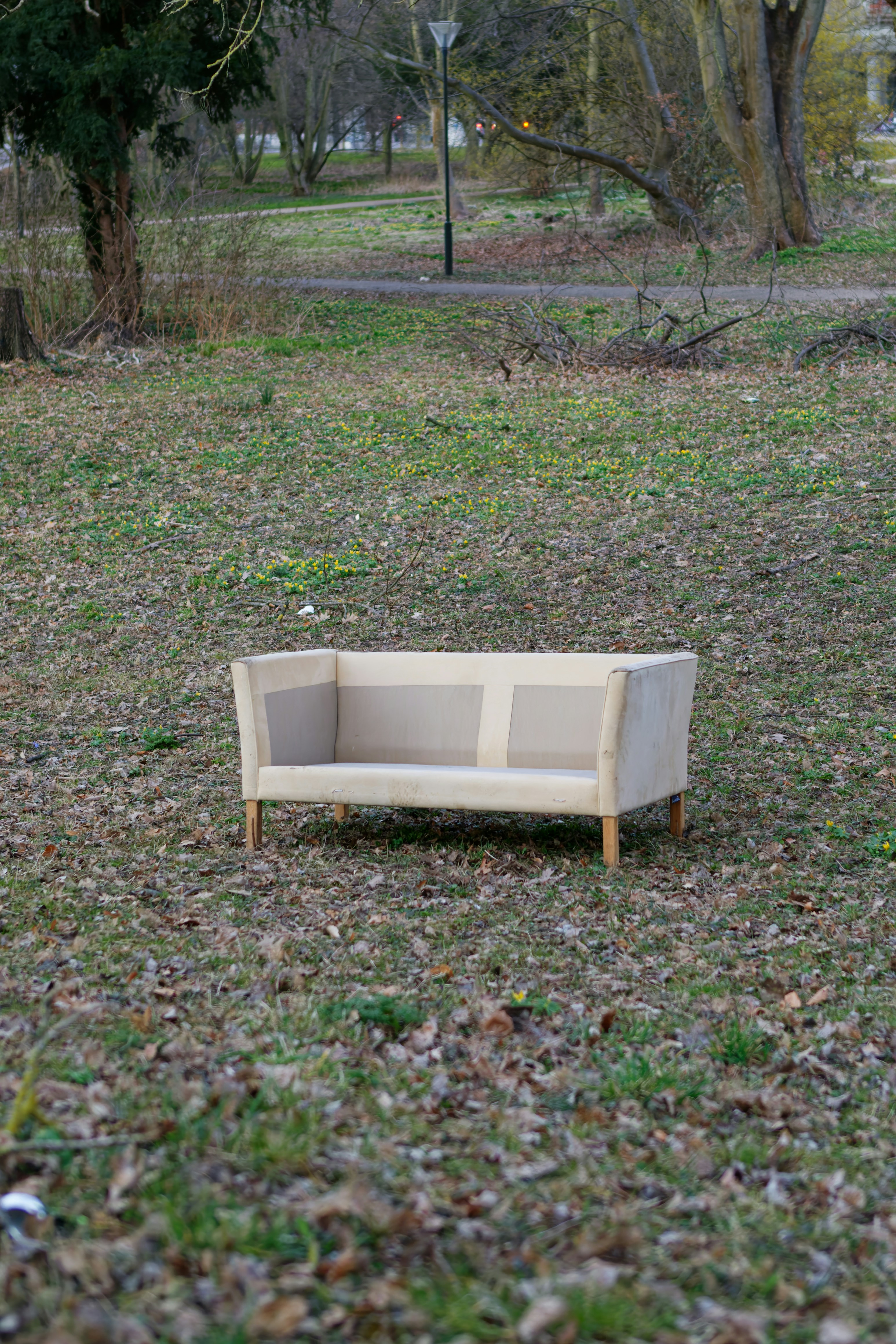 An abandoned sofa sits alone on a grassy patch, surrounded by fallen leaves and sparse trees. The scene highlights the contrast between urban furniture and natural surroundings.