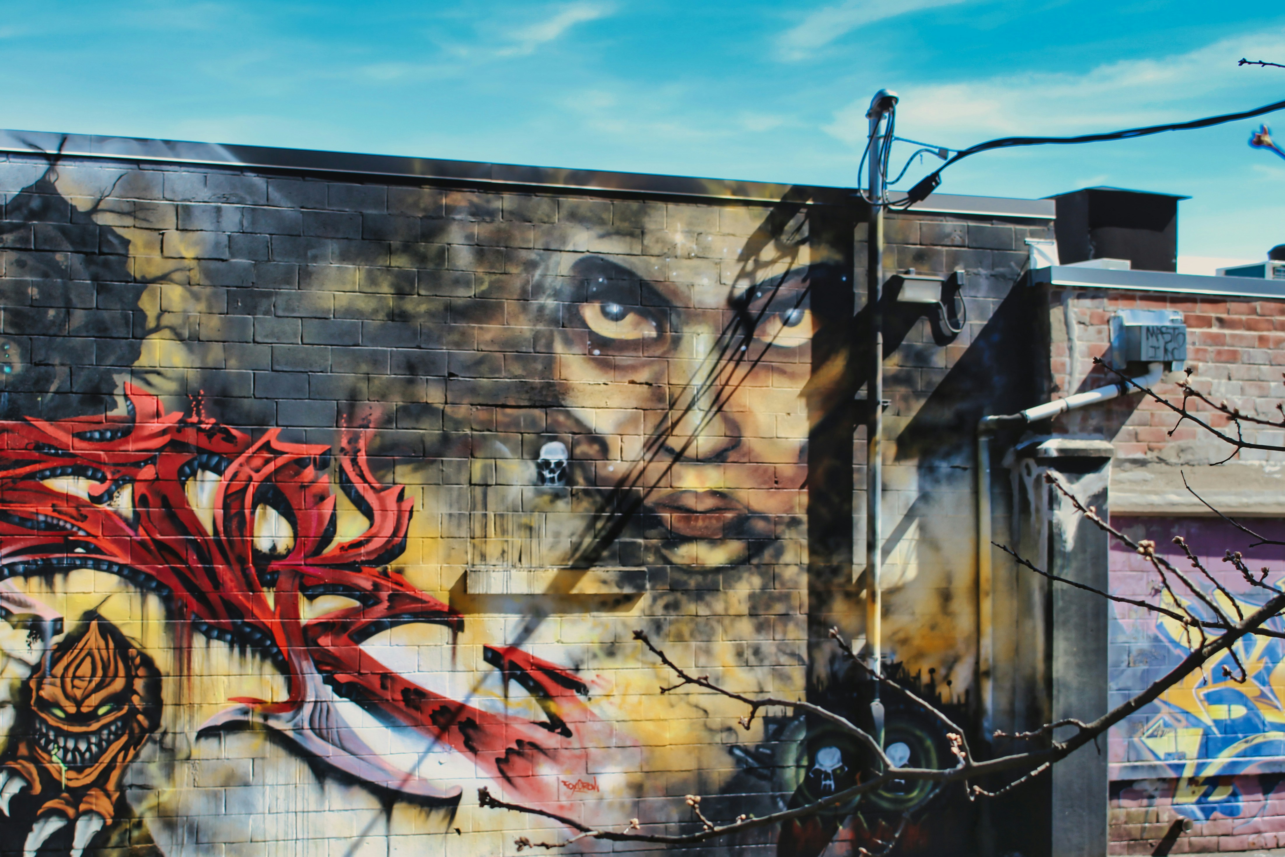 Eye in the Brick: An Urban Graffiti Portrait Amid Red Swirls and Winter Branches