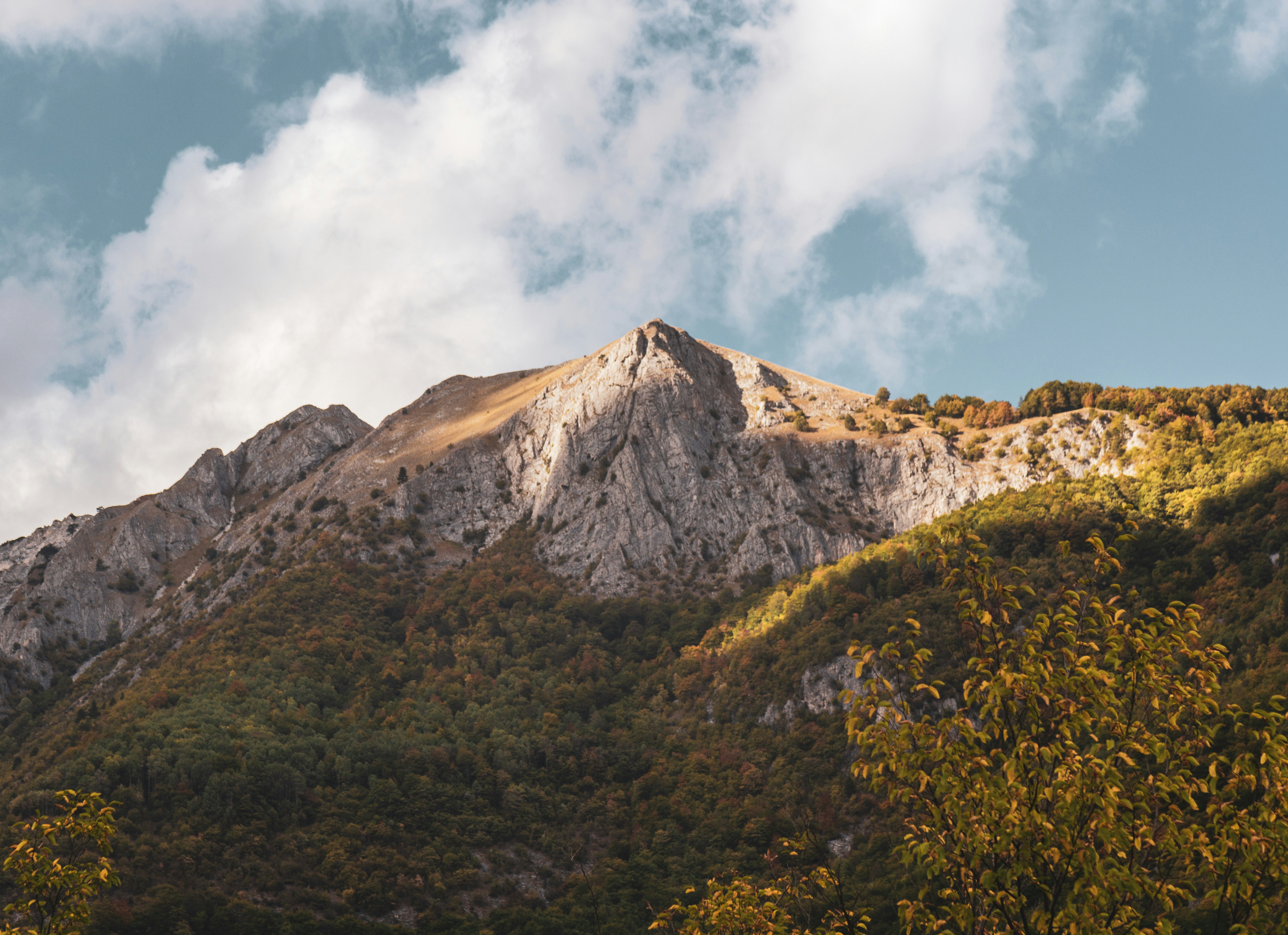 100+ Mountain Top Pictures [Stunning!] | Download Free Images on Unsplash