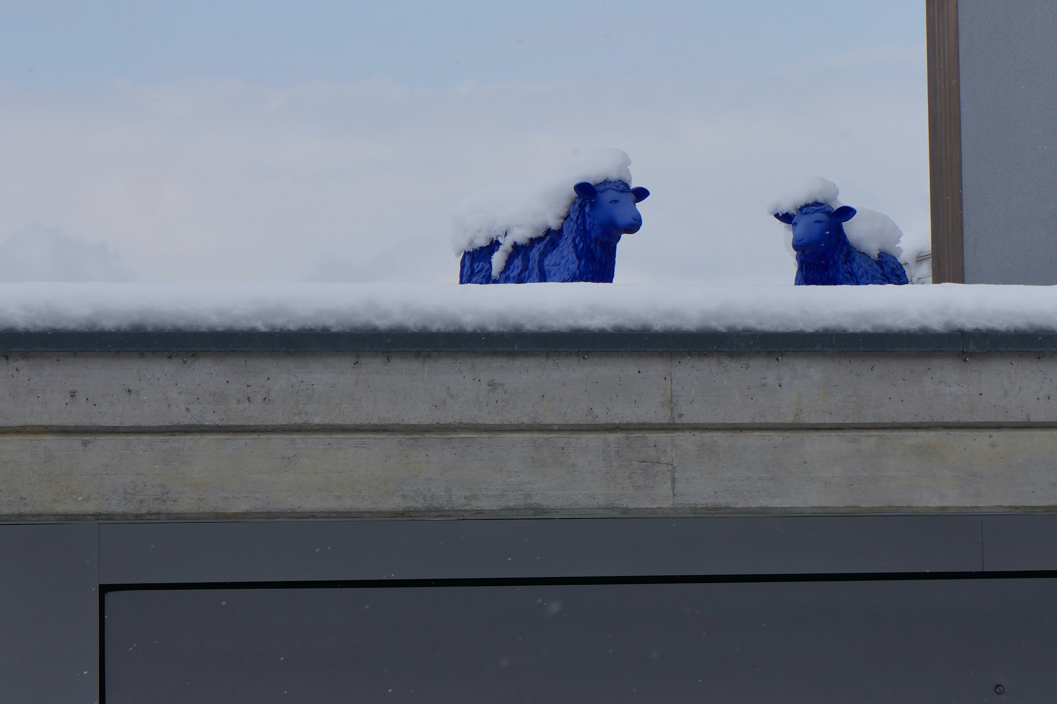 a couple of blue cows sitting on top of a snow covered roof