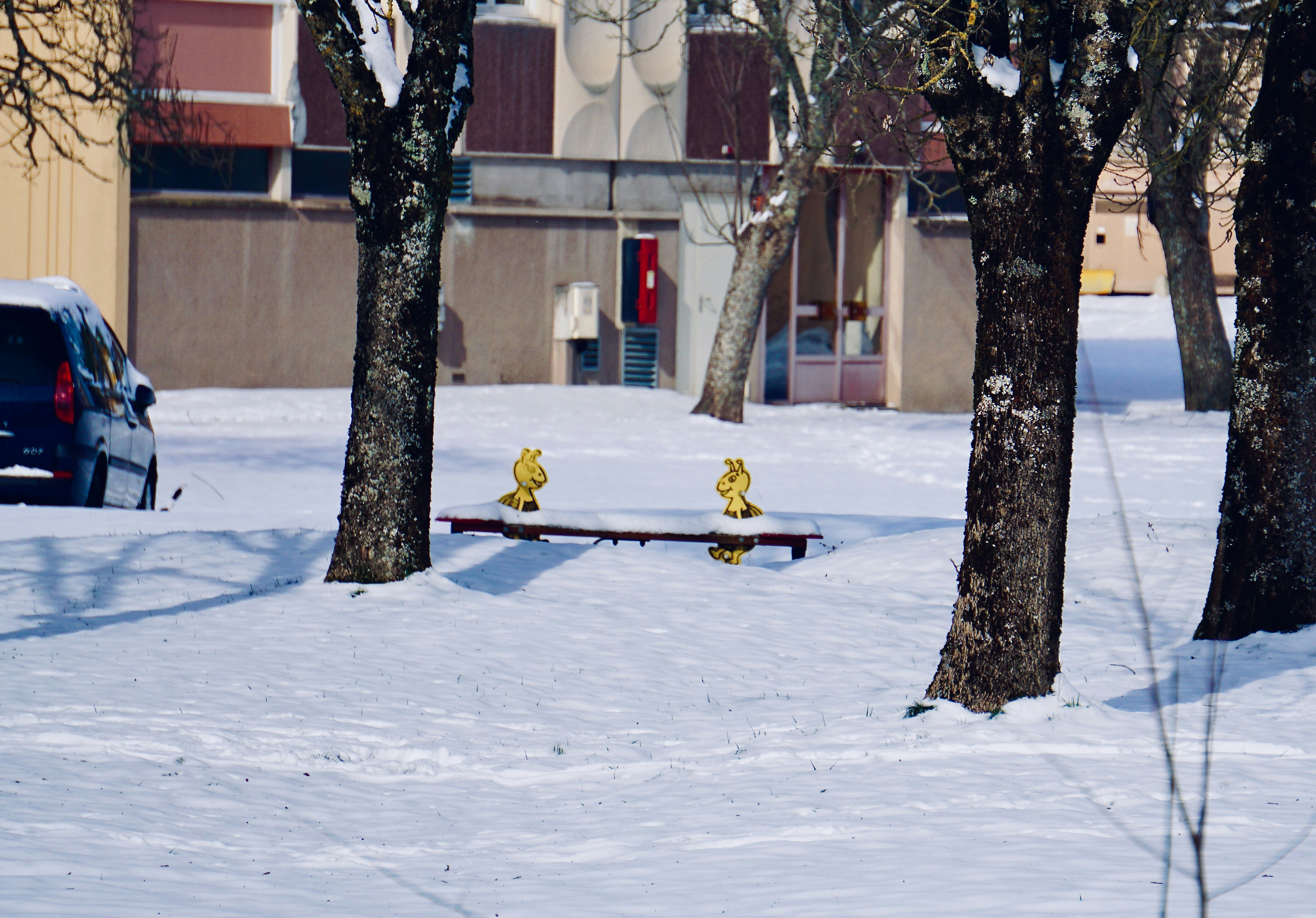 Winter Silence over the Park Bench