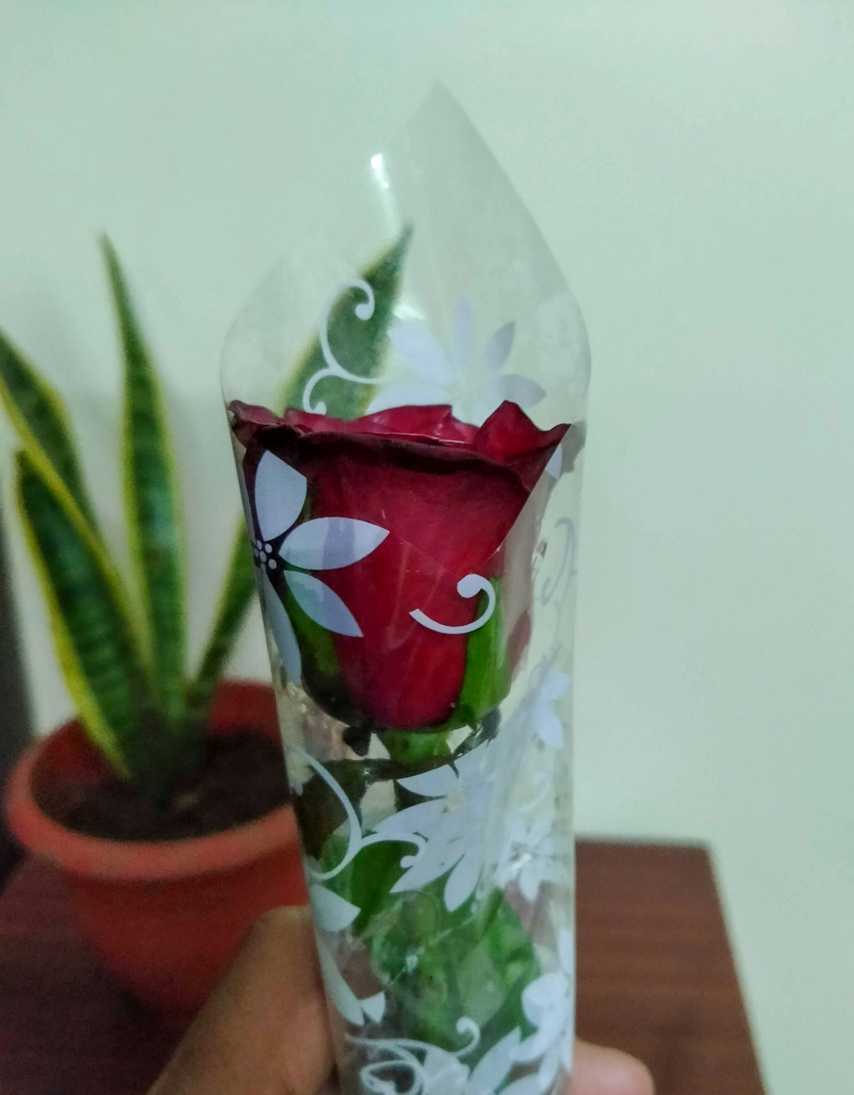 A red rose elegantly wrapped in decorative paper, set against a soft-focus background of greenery. The floral arrangement highlights the beauty of nature.