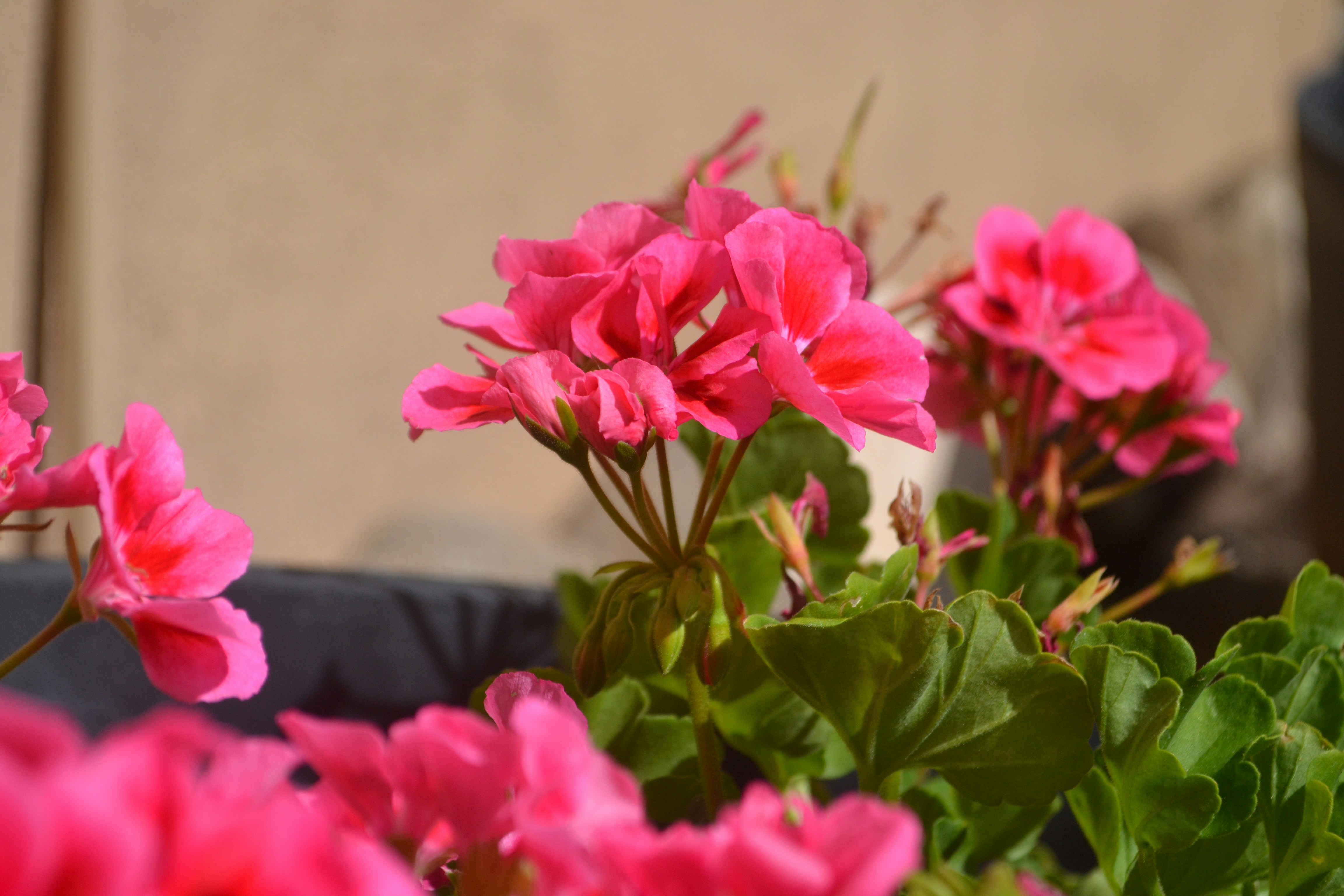 Jackson Maddock (@otto12332) | Komunitas Foto Unsplash