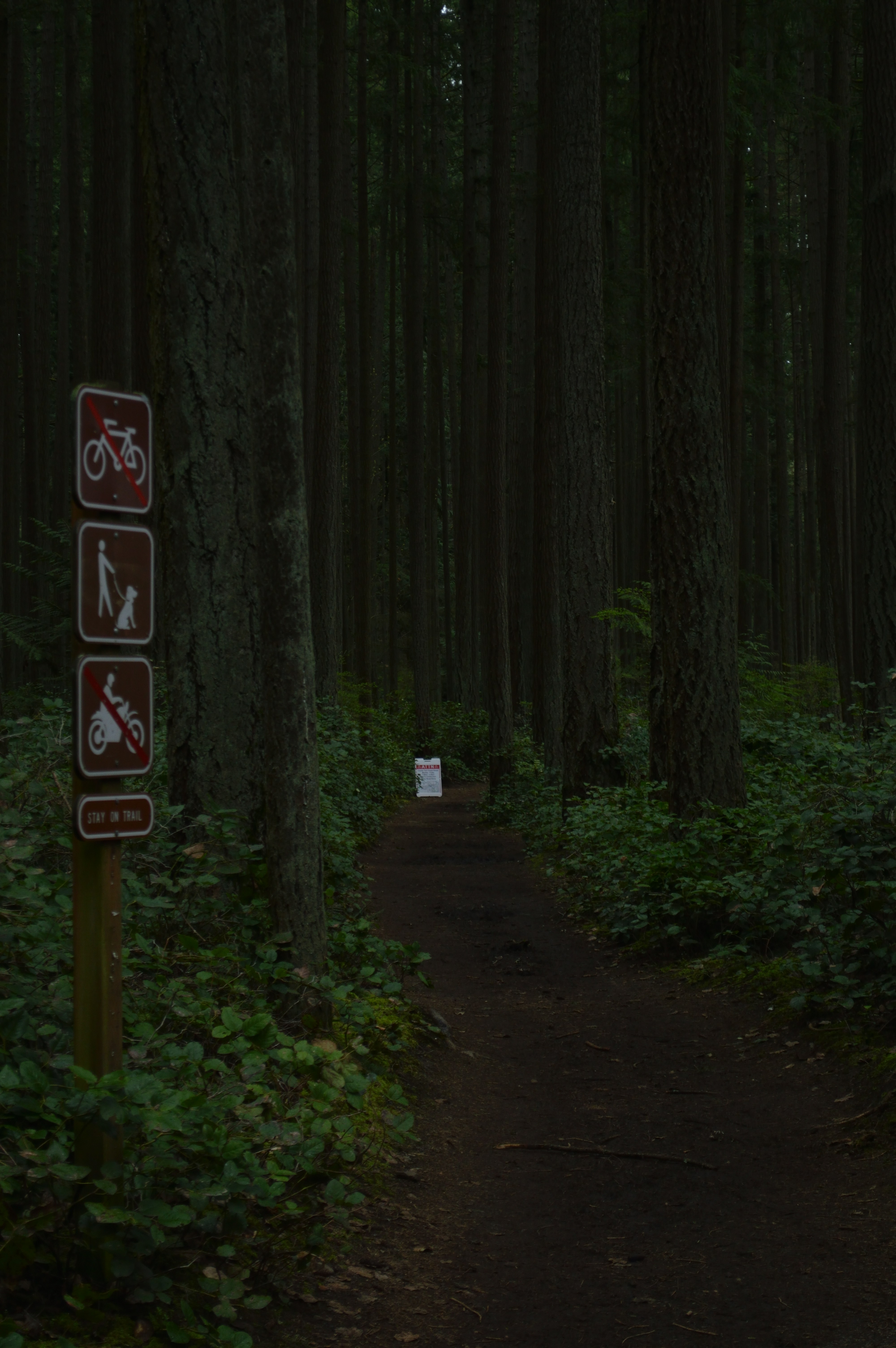 a trail in the woods with a sign on it