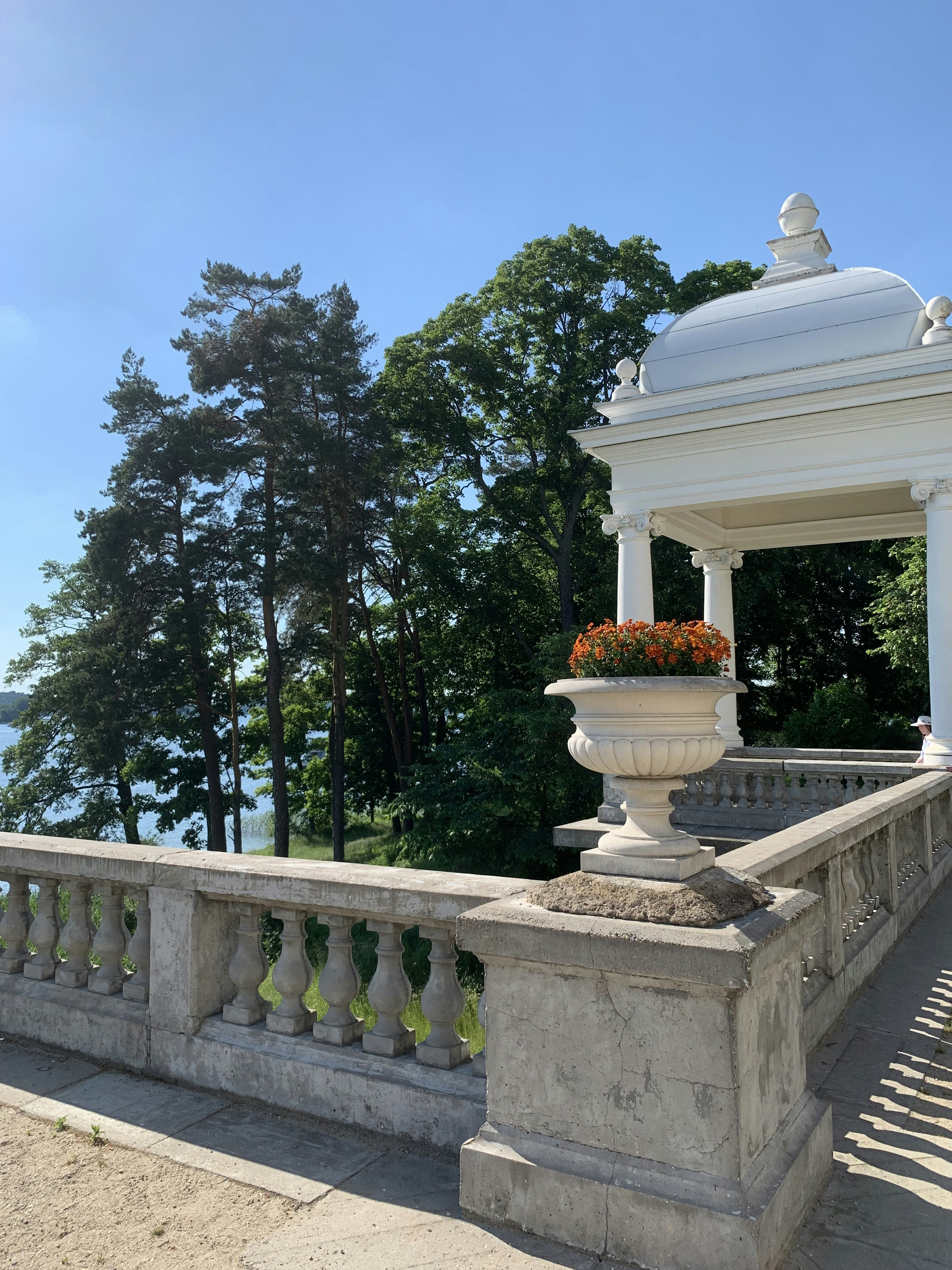 A white gazebo with a flower pot on top of it photo – Free Plant Image ...