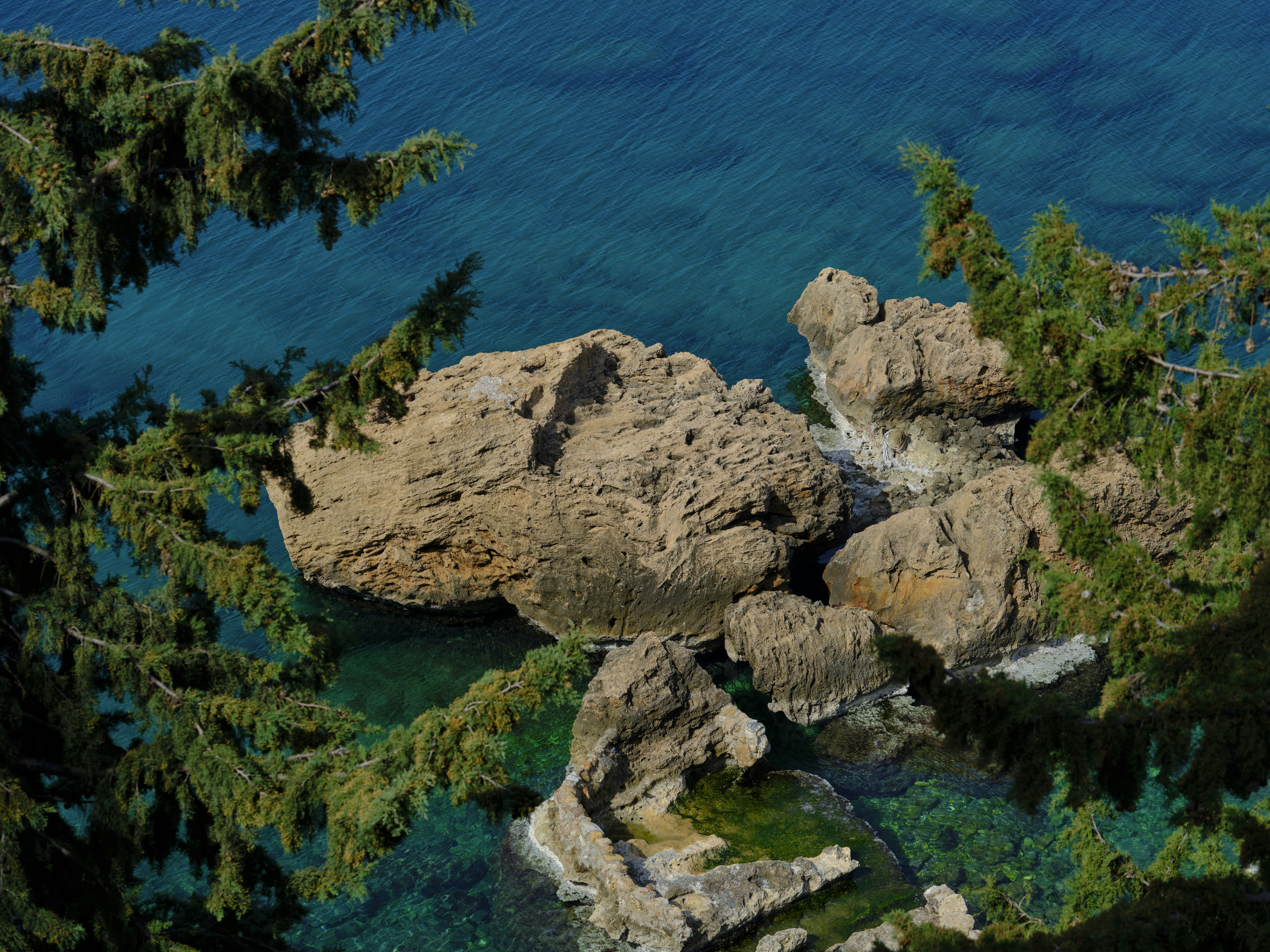 Emerald Inlet: Granite Outcrops Cradled by Windswept Pines