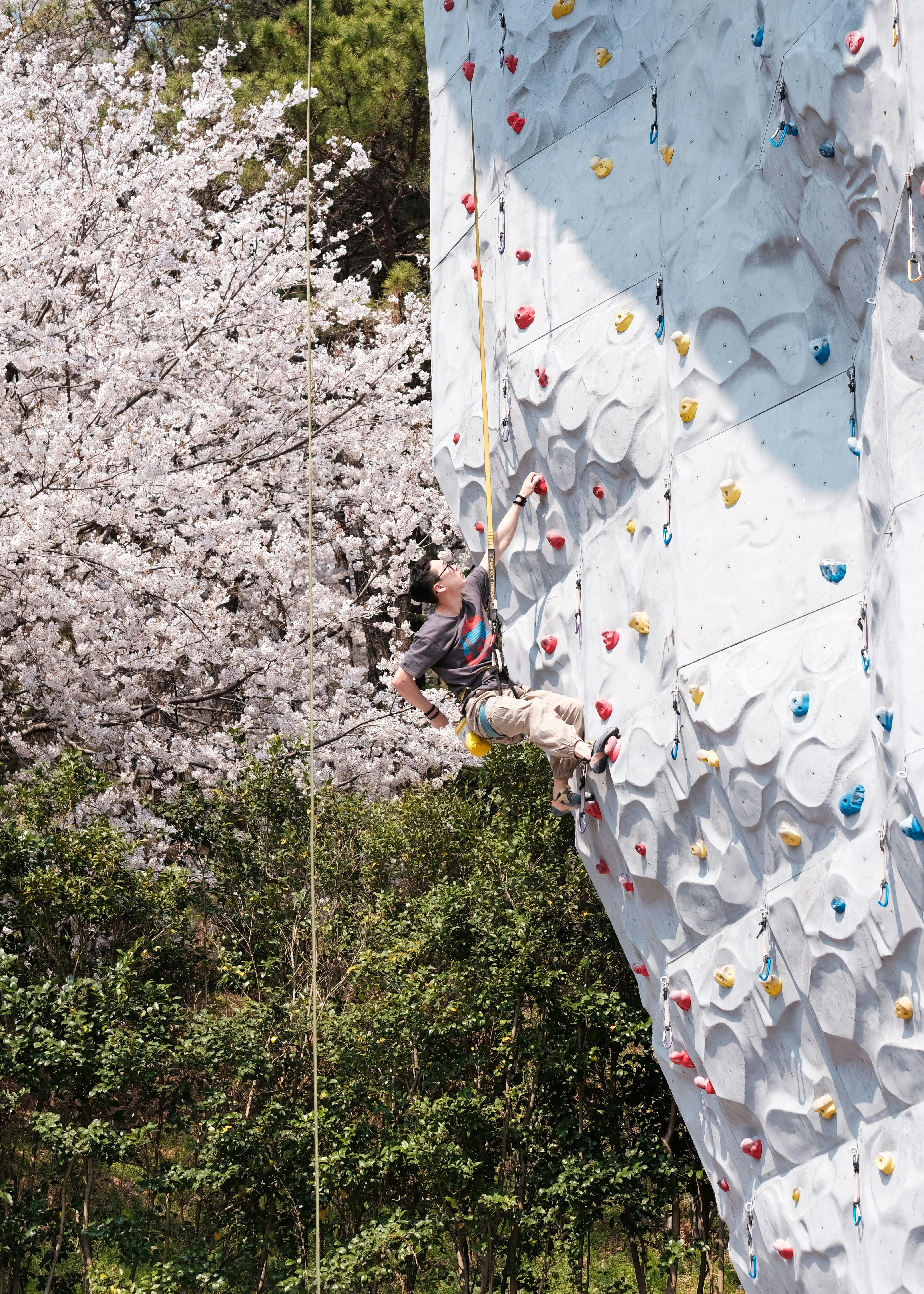 A man climbing up the side of a climbing wall photo – Free Busan Image ...