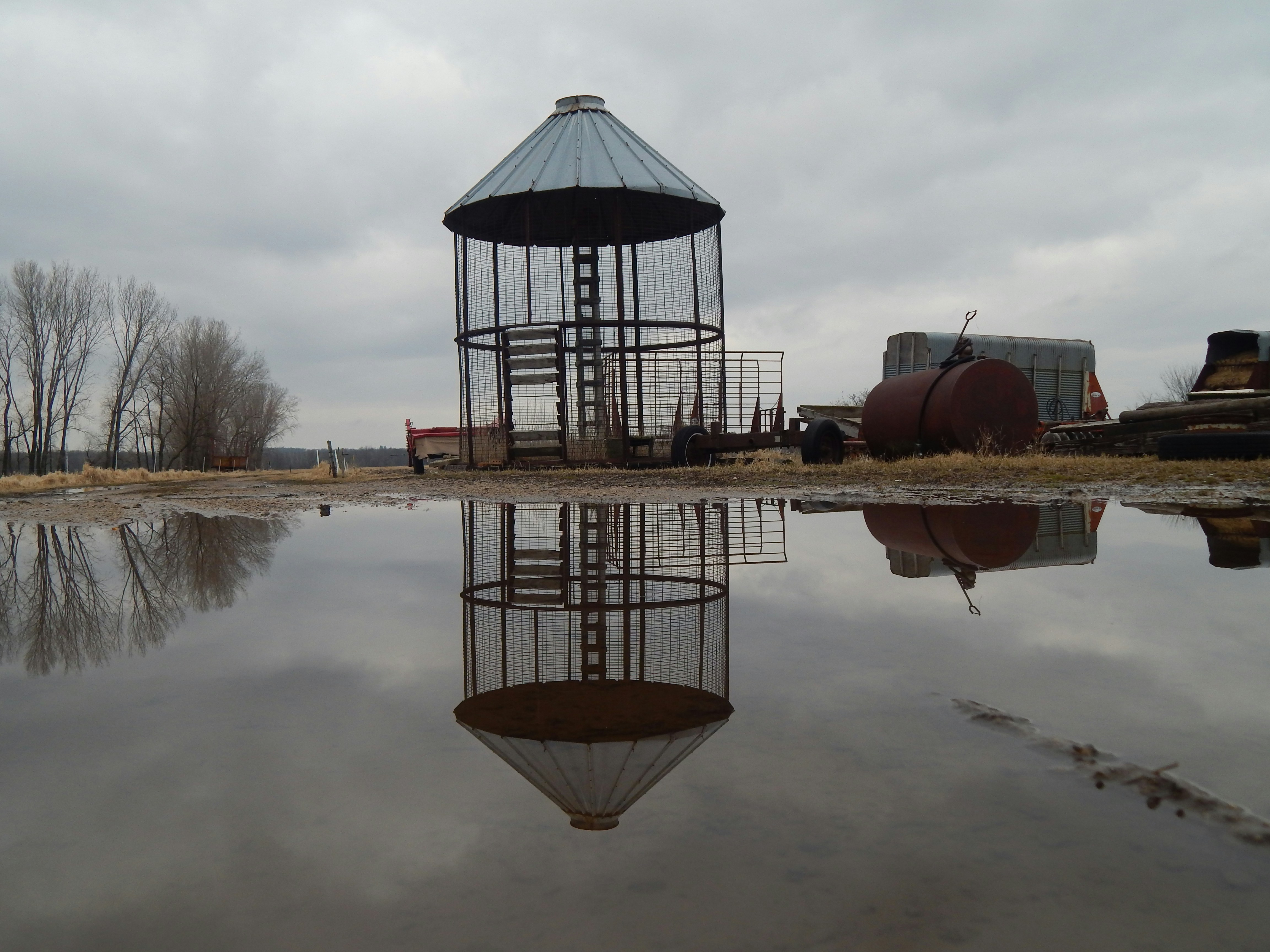 Symmetry in a Rural Mirror: Gazebo and the Quiet Puddle