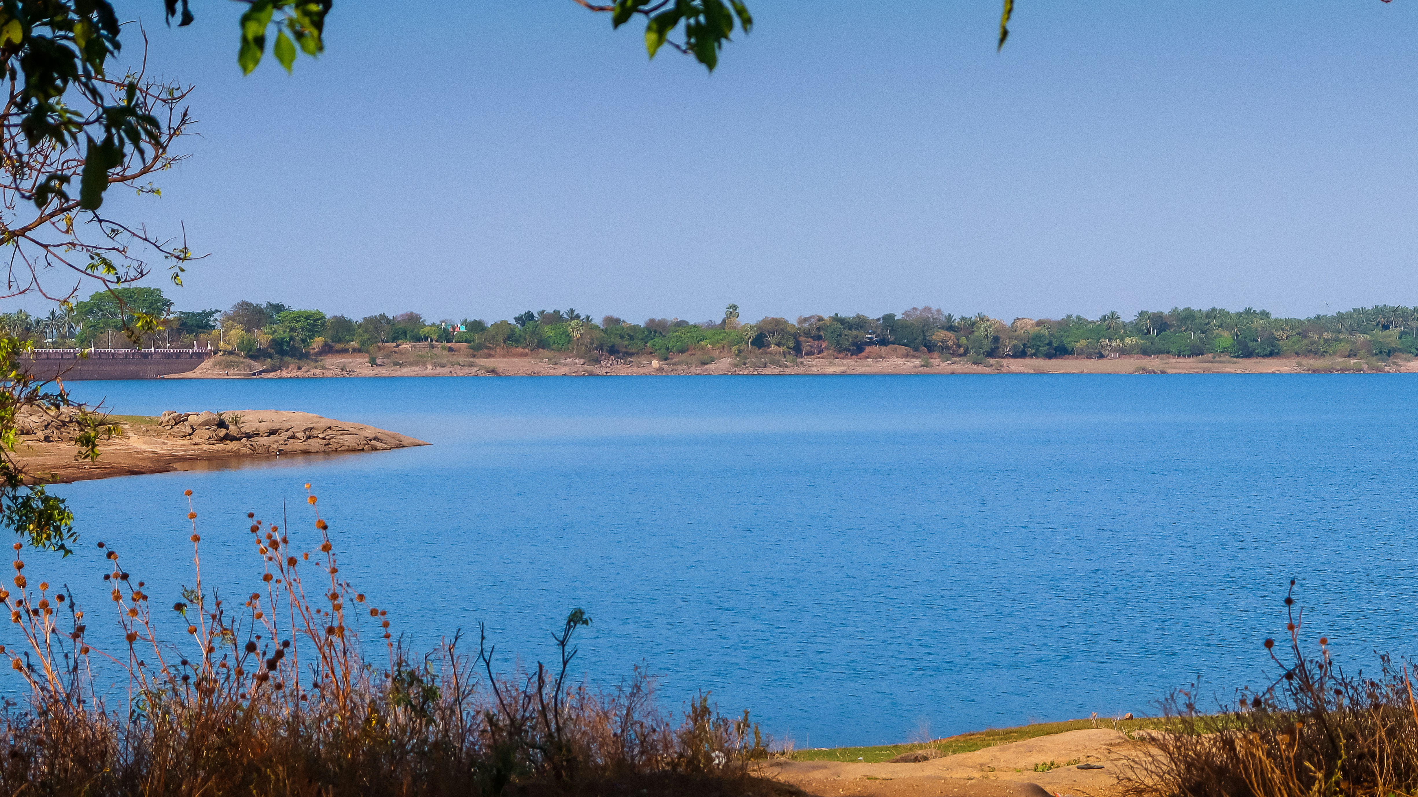 Tranquil lake bordered by distant trees under a clear blue sky.