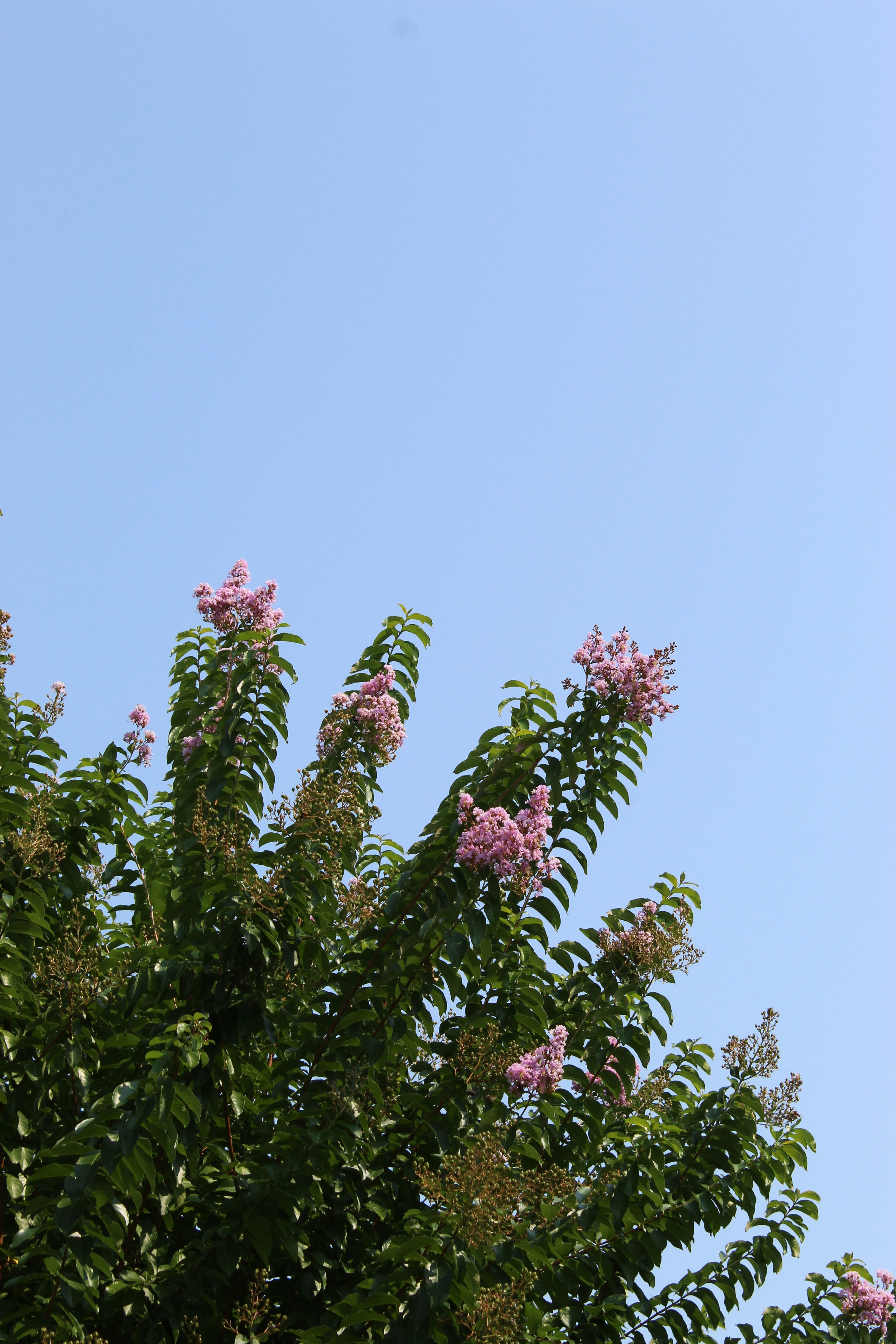 Photo by Nick with Canon EOS 4000D