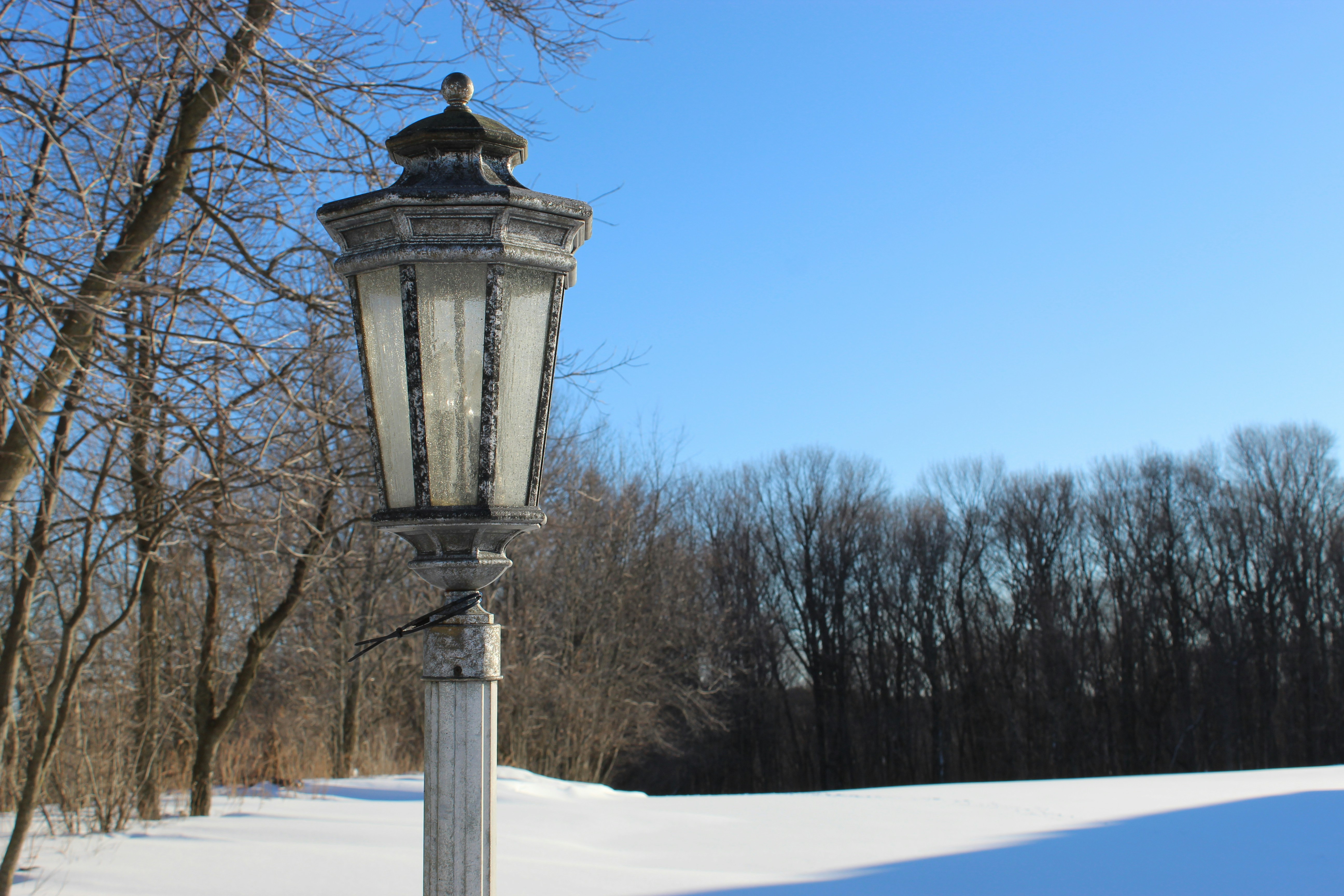 A lamp post in the snow with trees in the background photo – Free ...