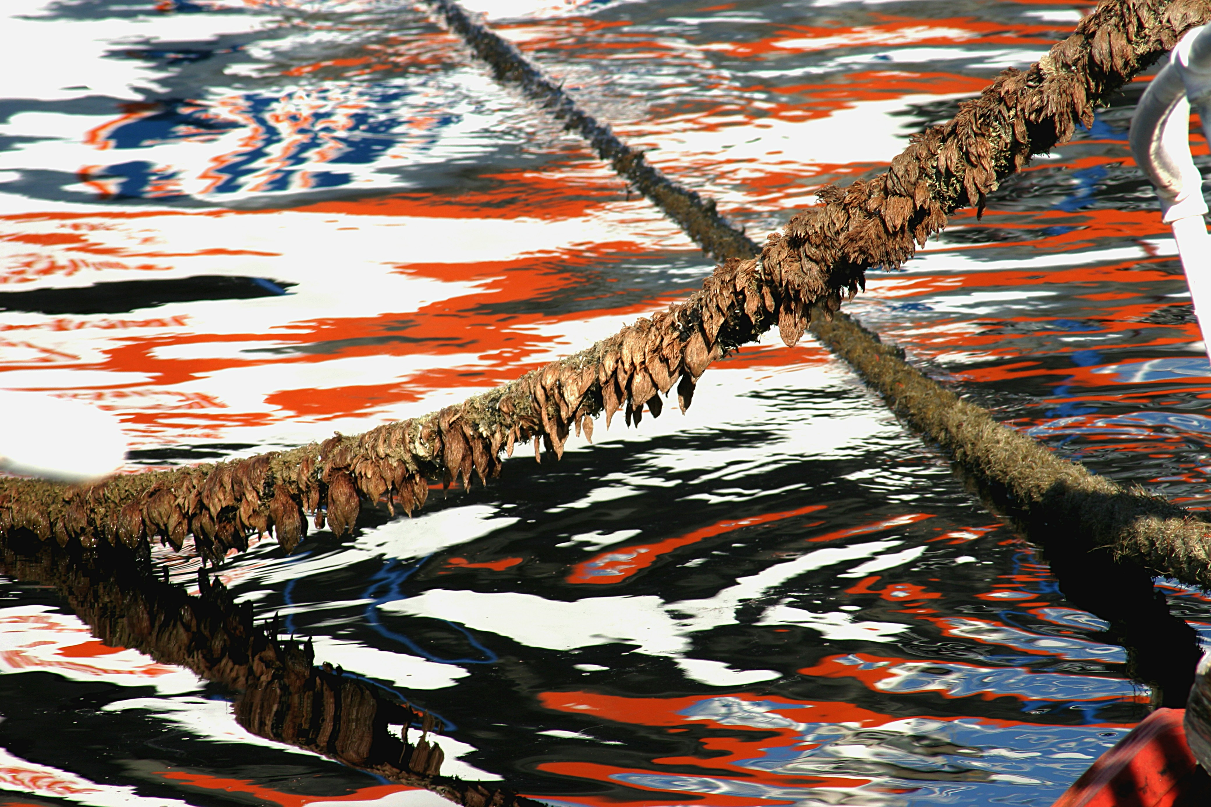 A rope is tied to a body of water photo – Free Sea Image on Unsplash