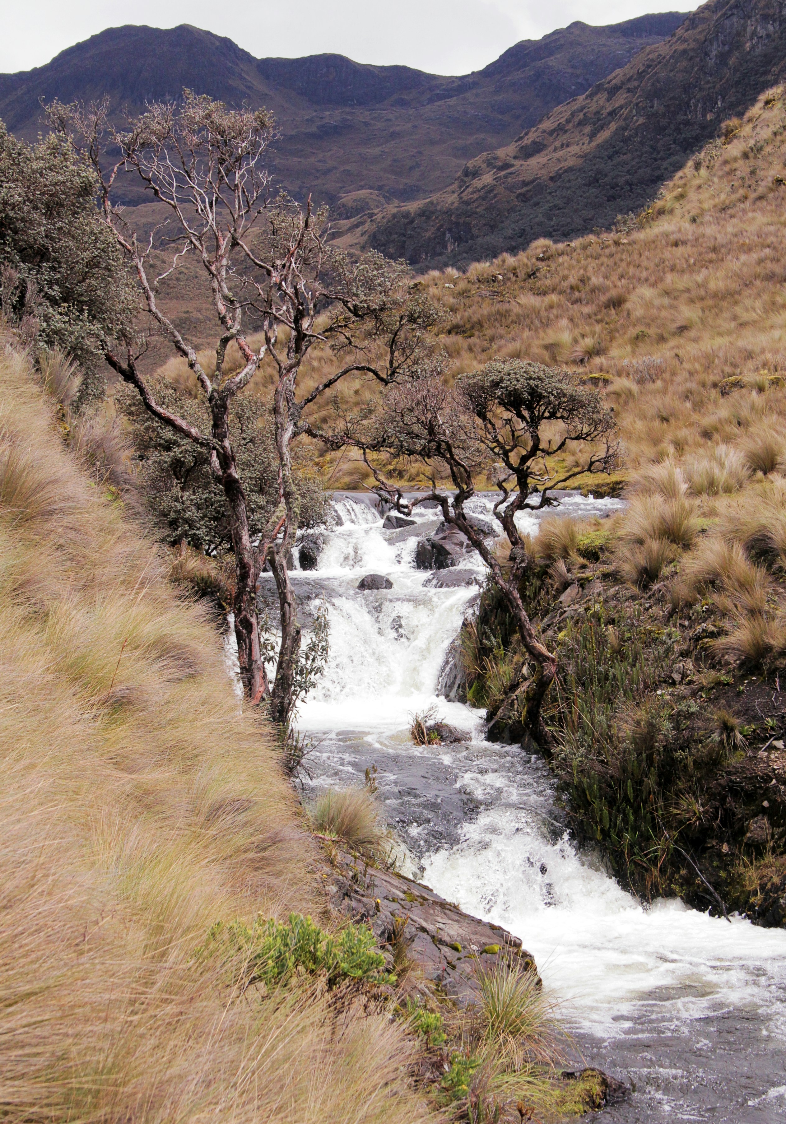 A river running through a lush green hillside photo – Free Cuenca ...
