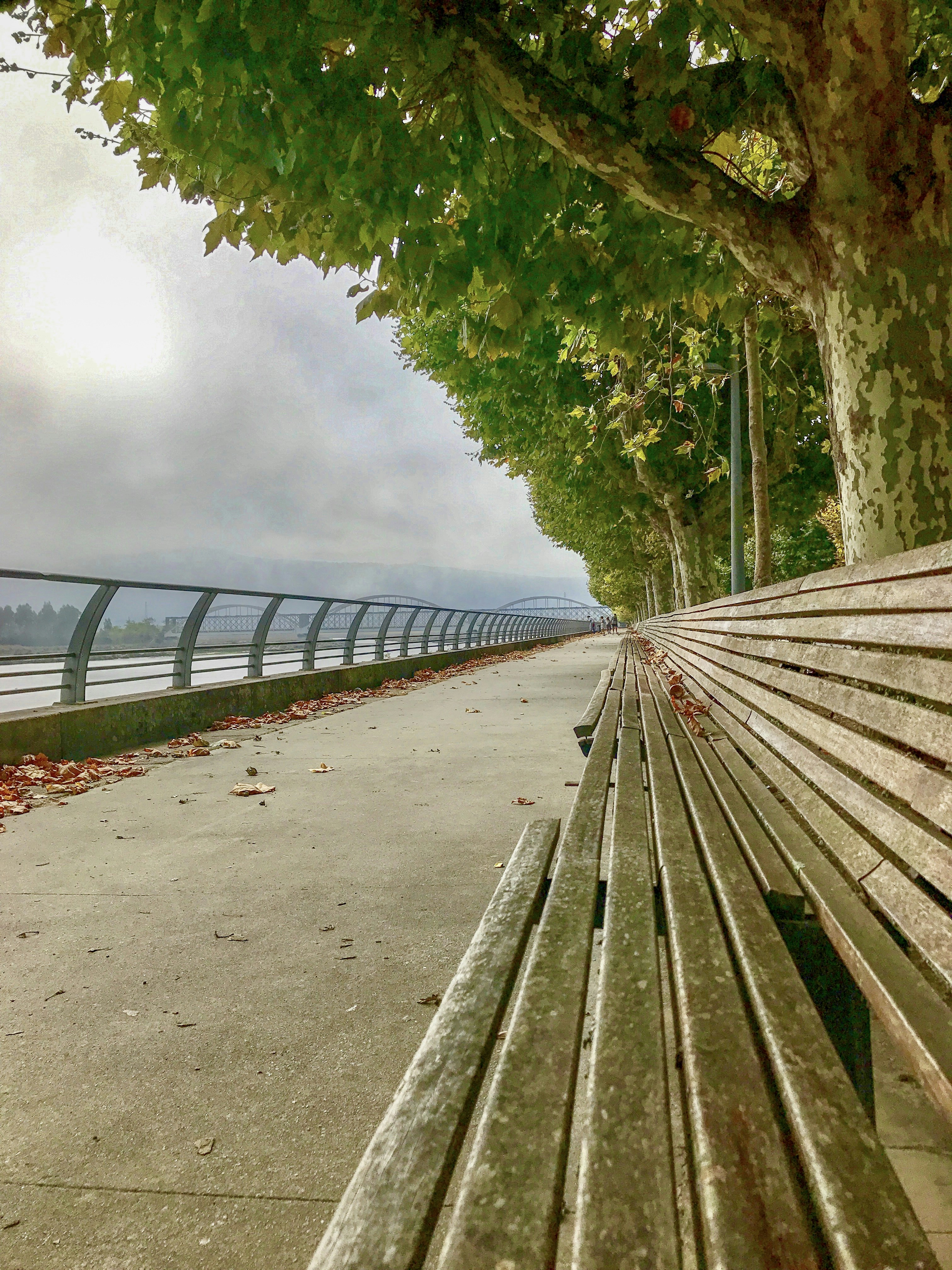Lines of the Riverside: A Benched Path Pointing Toward Distant Haze