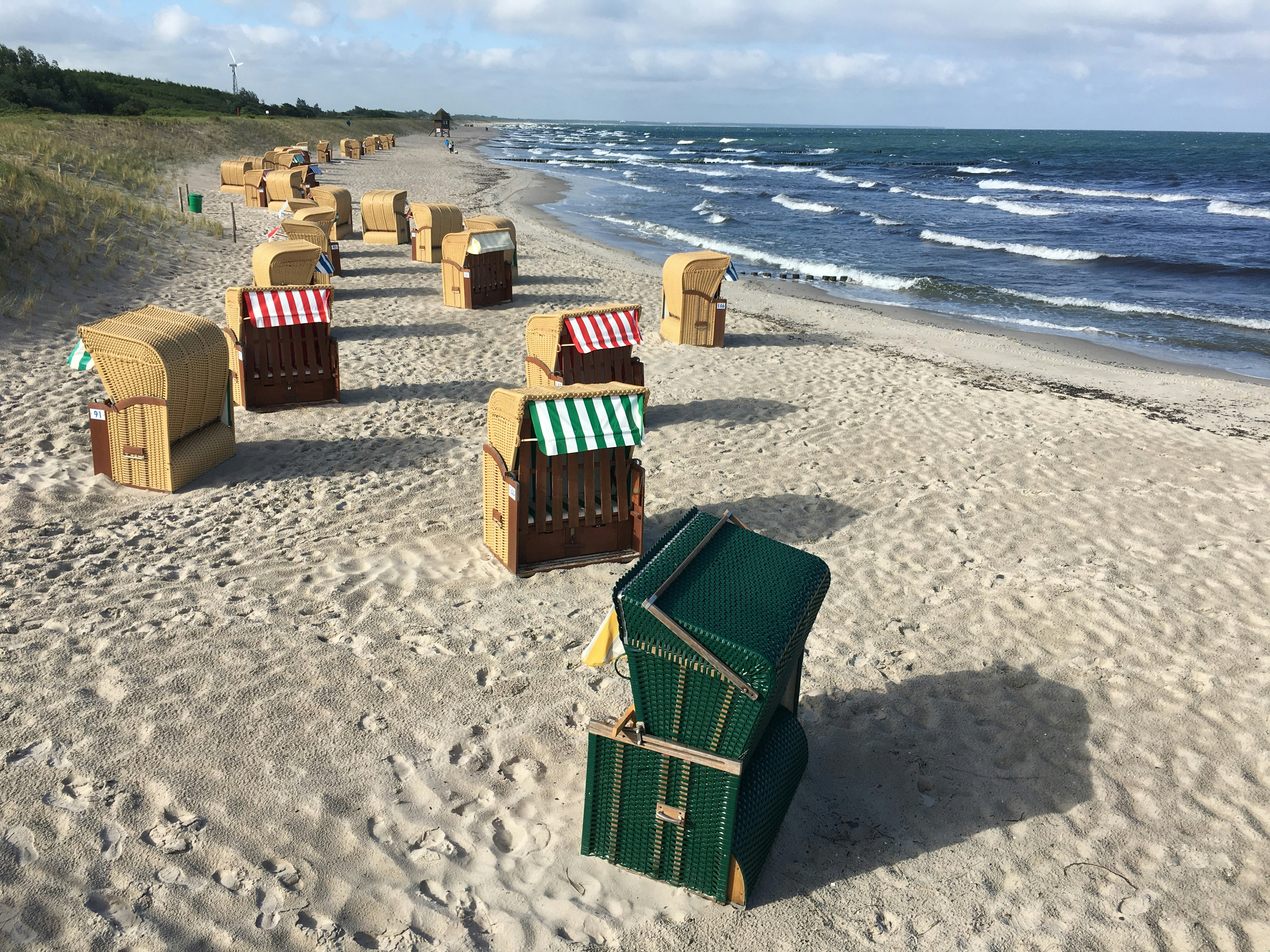 Verdant Strandkorb Leads a Sunlit Row of Beach Chairs
