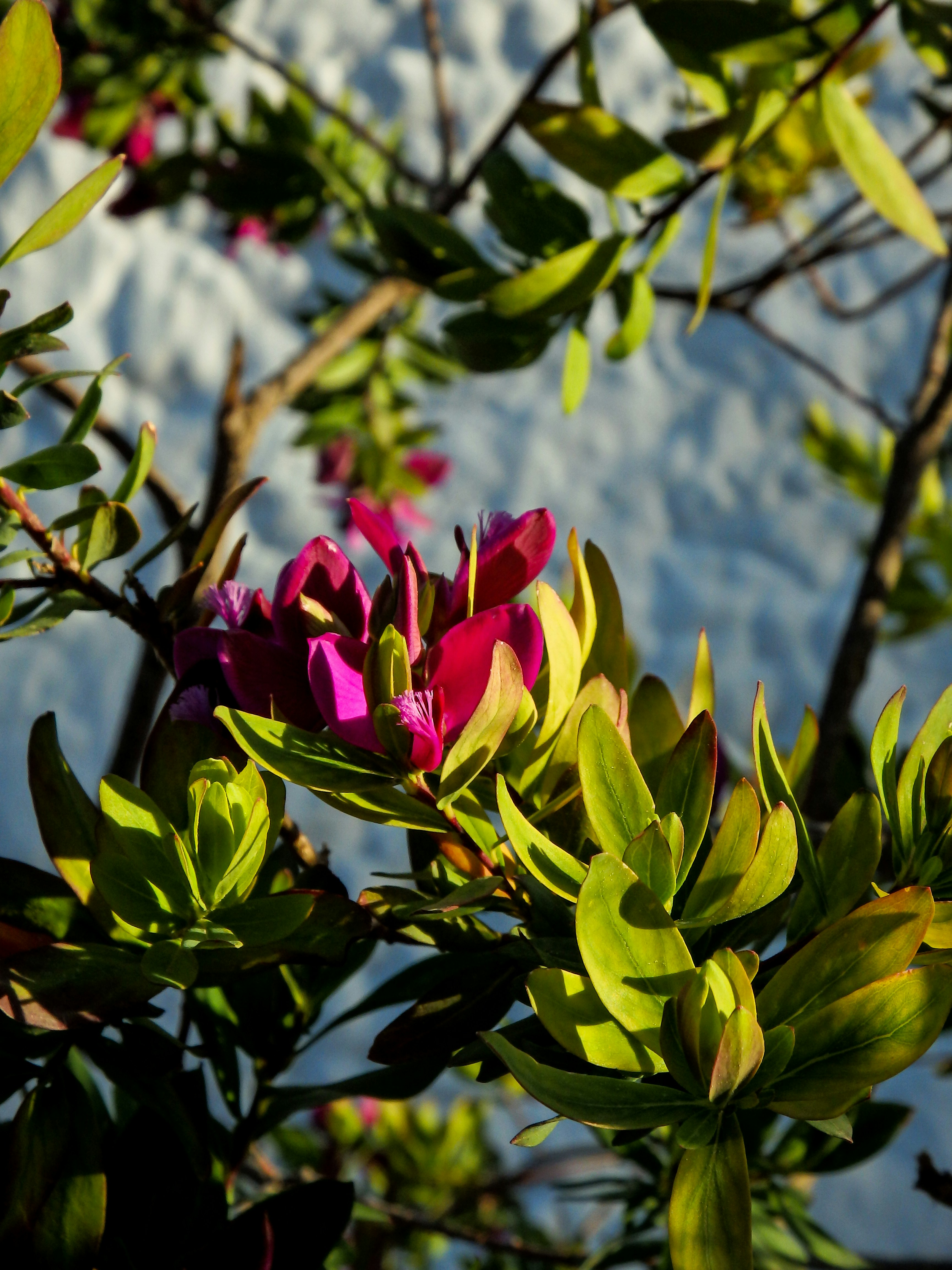 Olympus Stylus SP-100EE Sample Shots