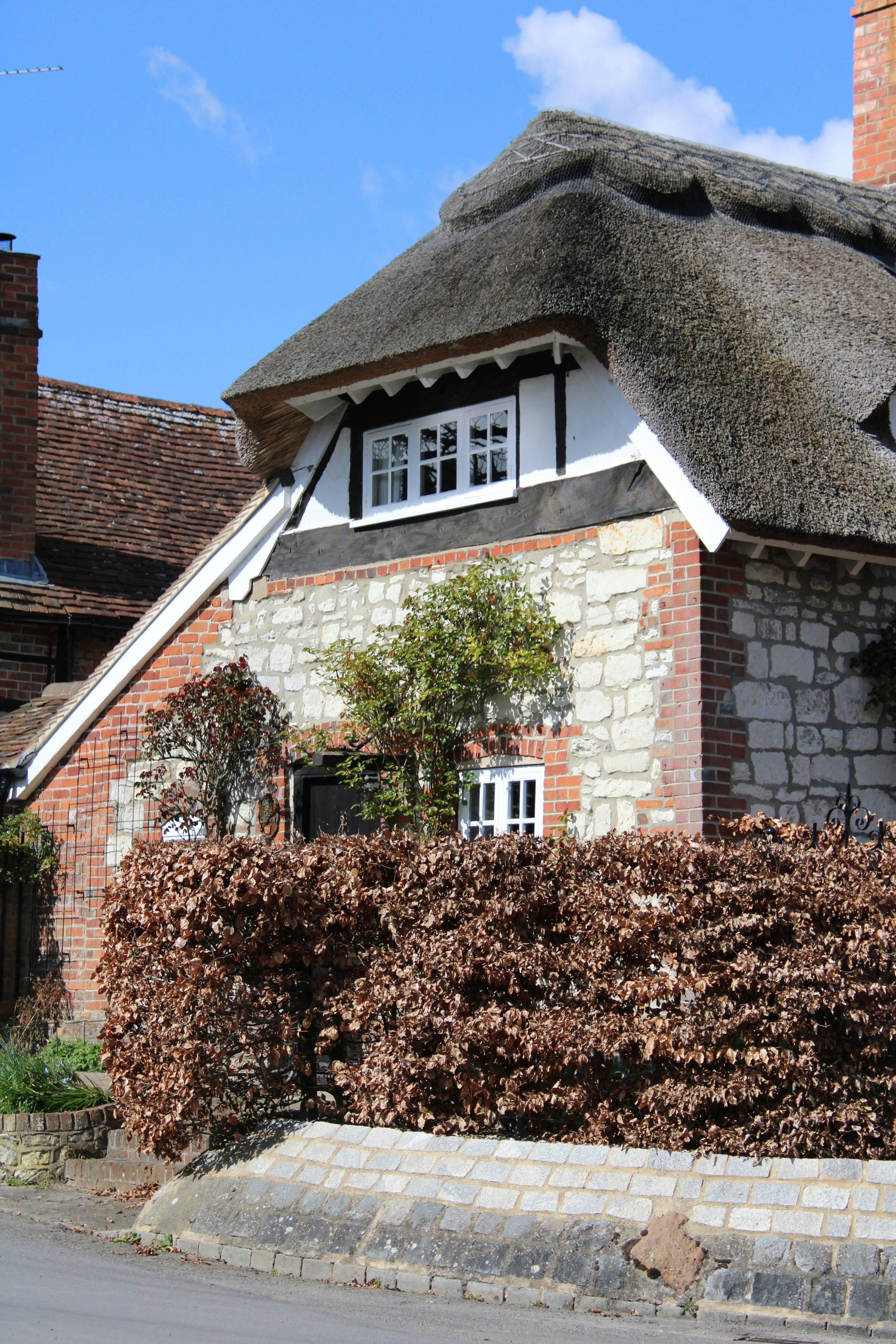 A house with a thatched roof and a hedge photo – Free Cottage Image on ...