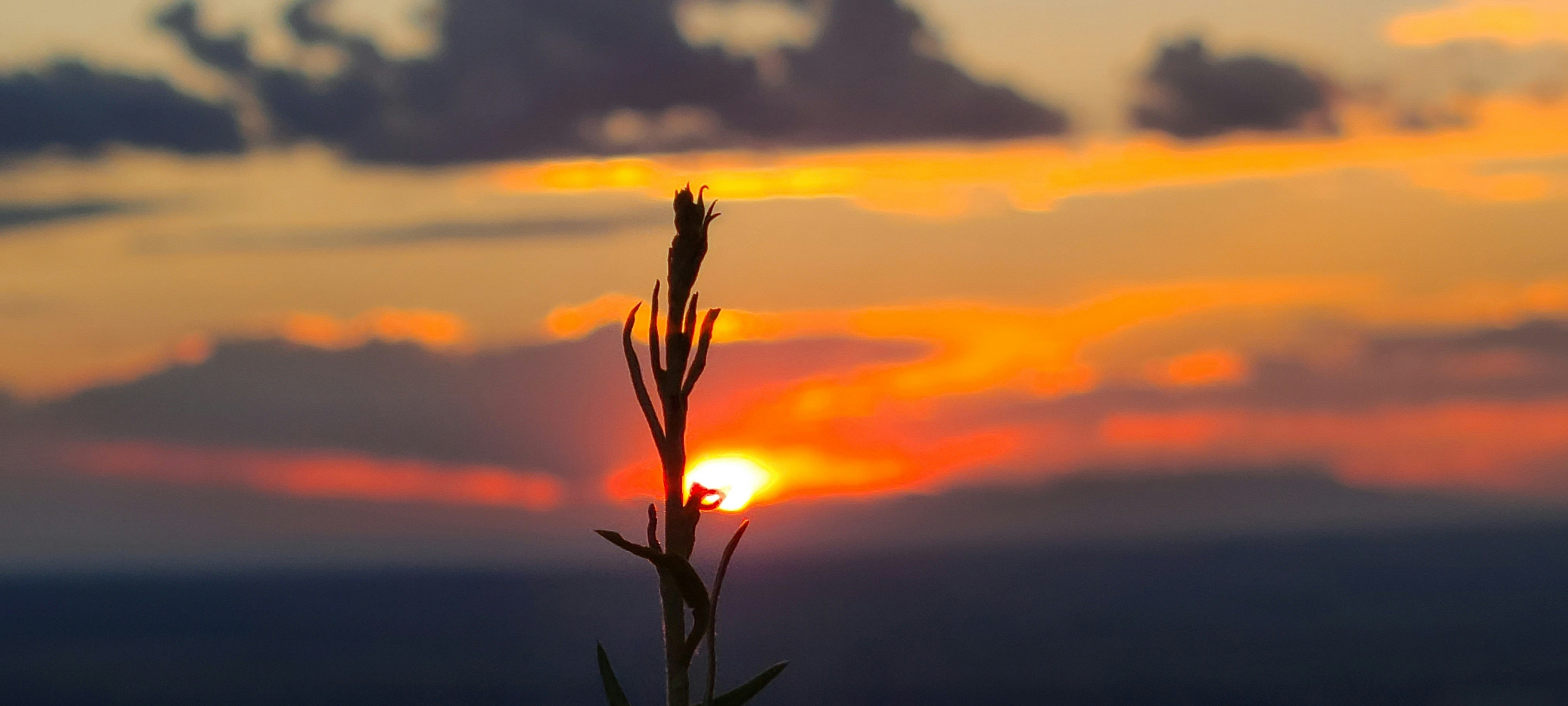 a close up of a colorful sunset