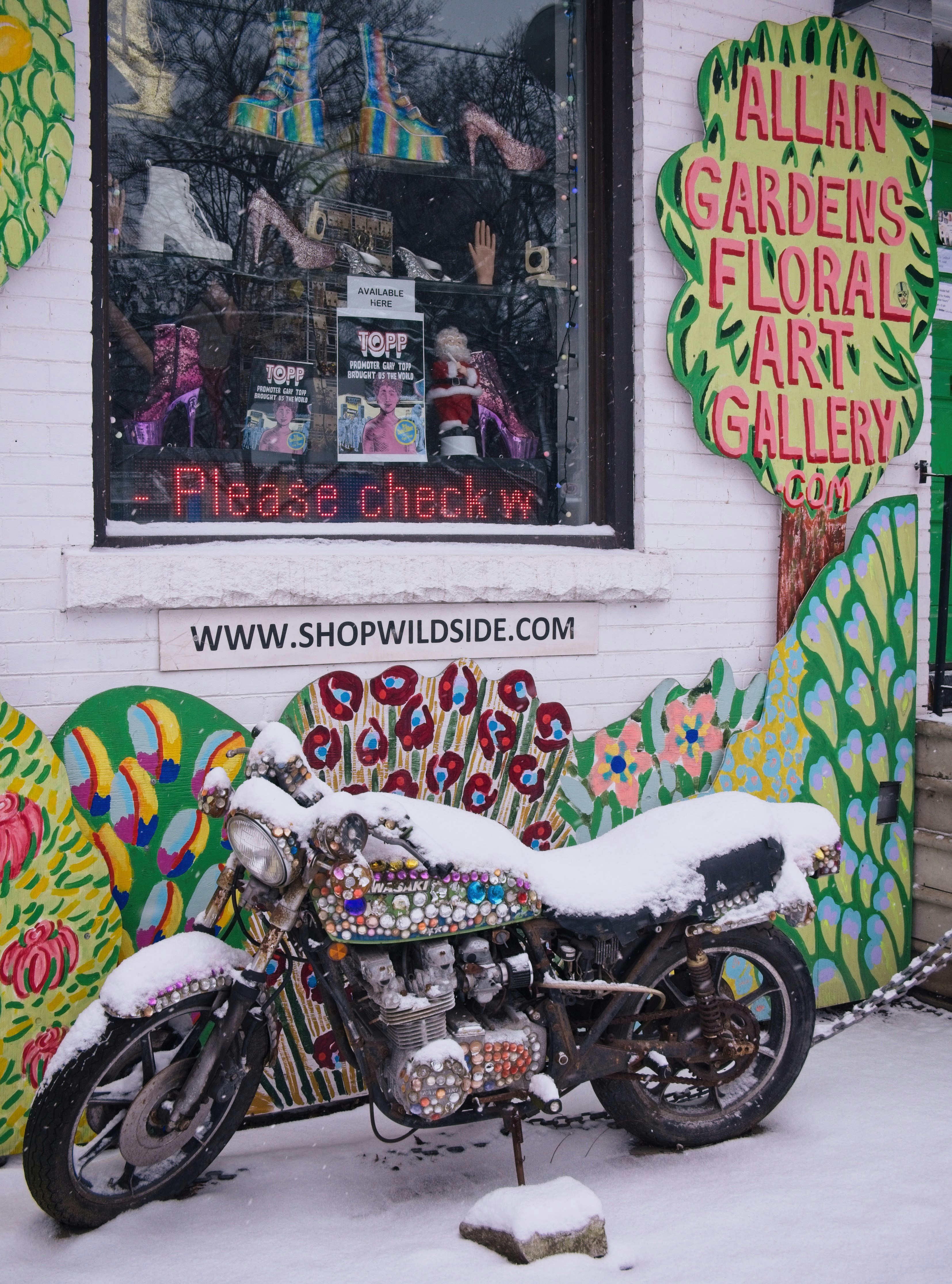 Snow-Kissed Neon and Motorcycle at Allans Gardens