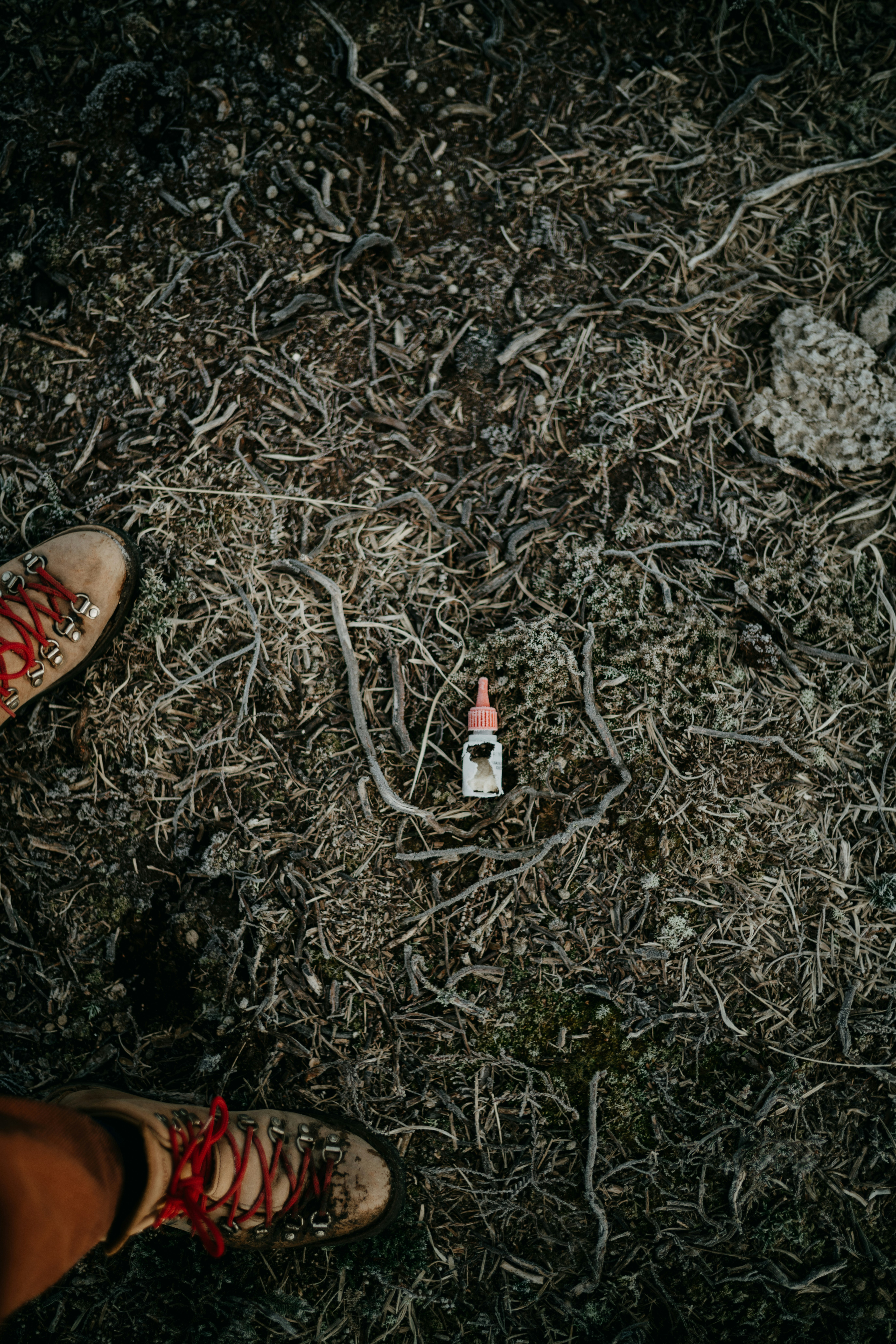 Nature's Unexpected Discovery