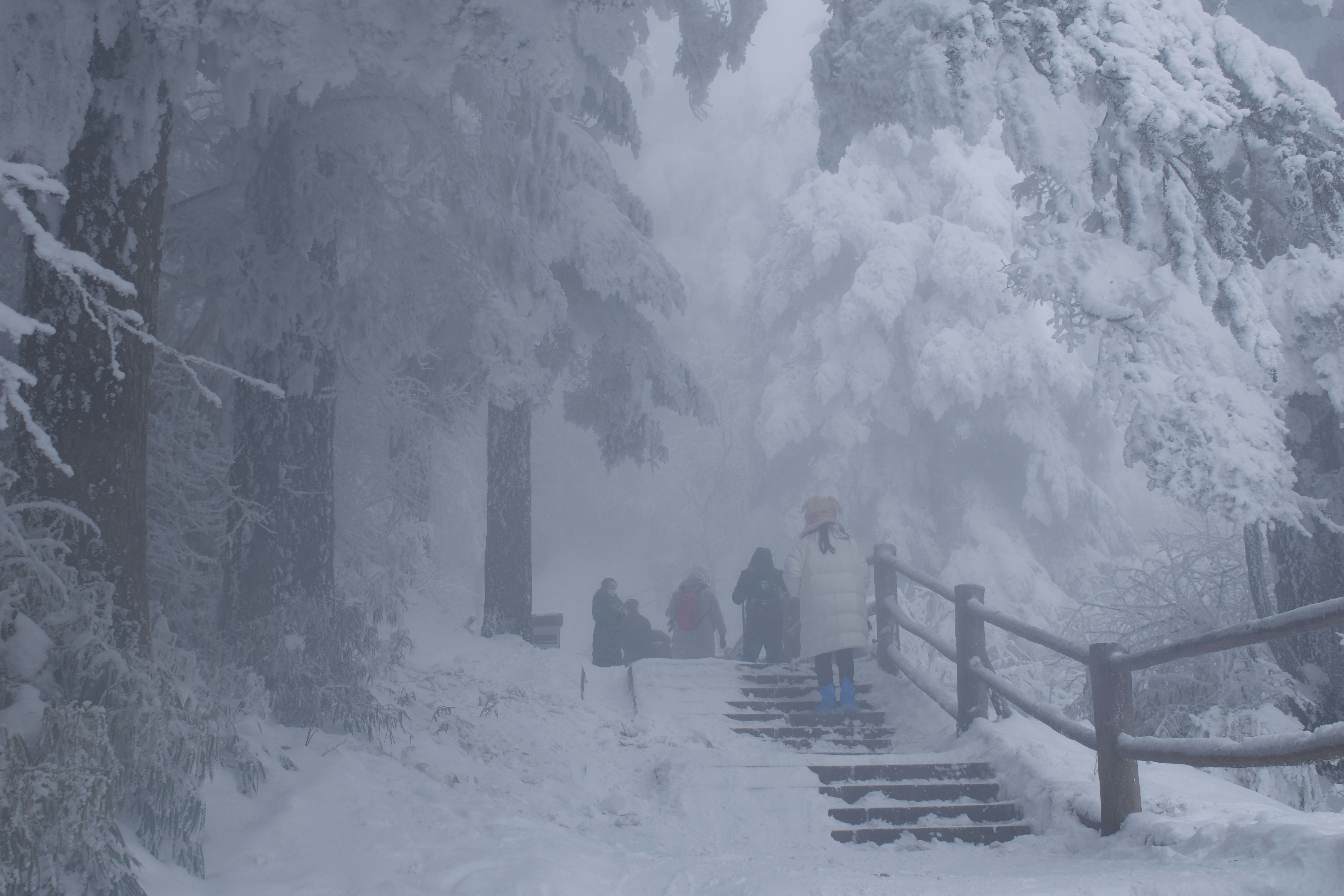 Snow-covered forest path with people walking up wooden steps surrounded by frosted trees.