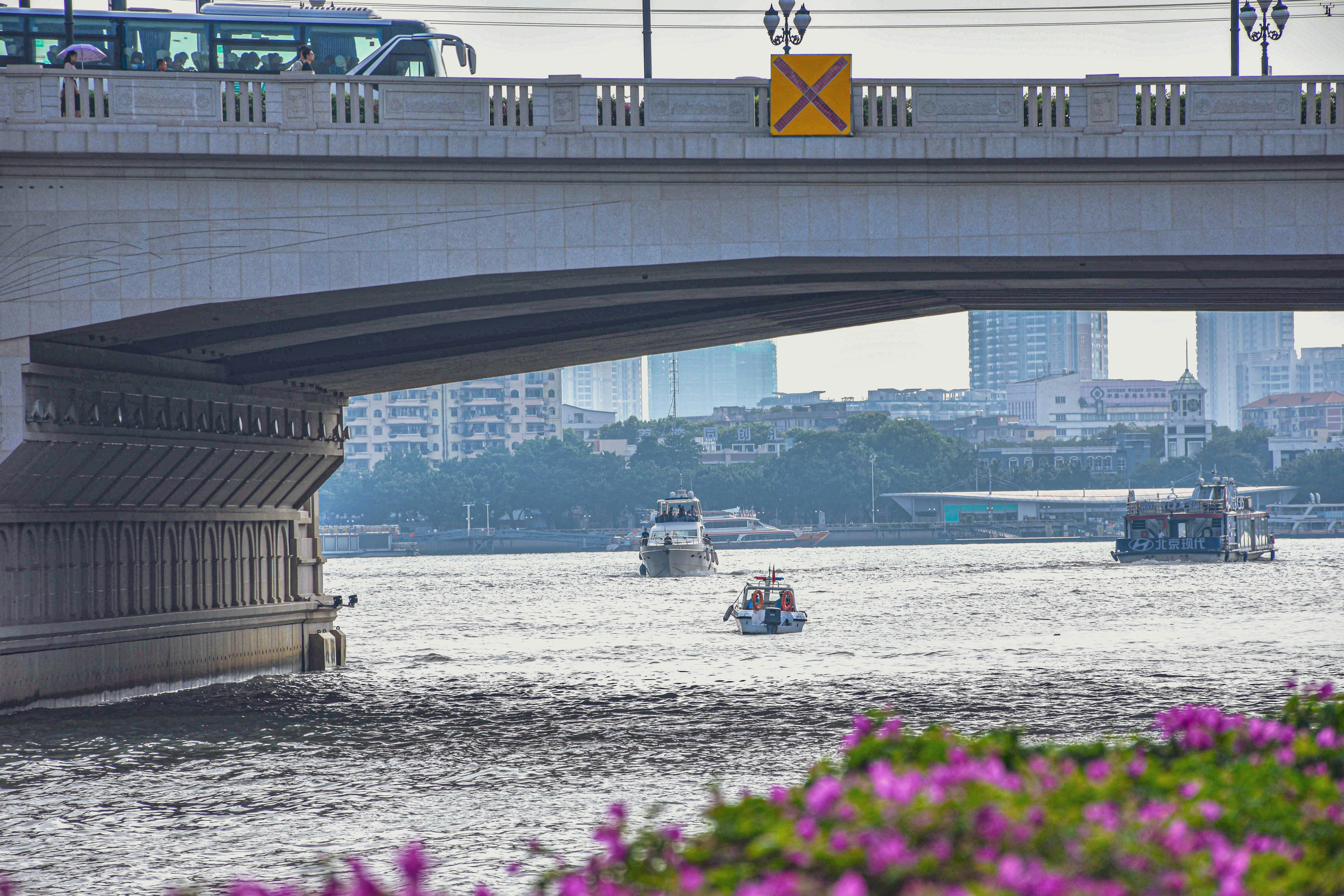 Bridge Over Calm River: Boats, Light, and Blooming Gulls