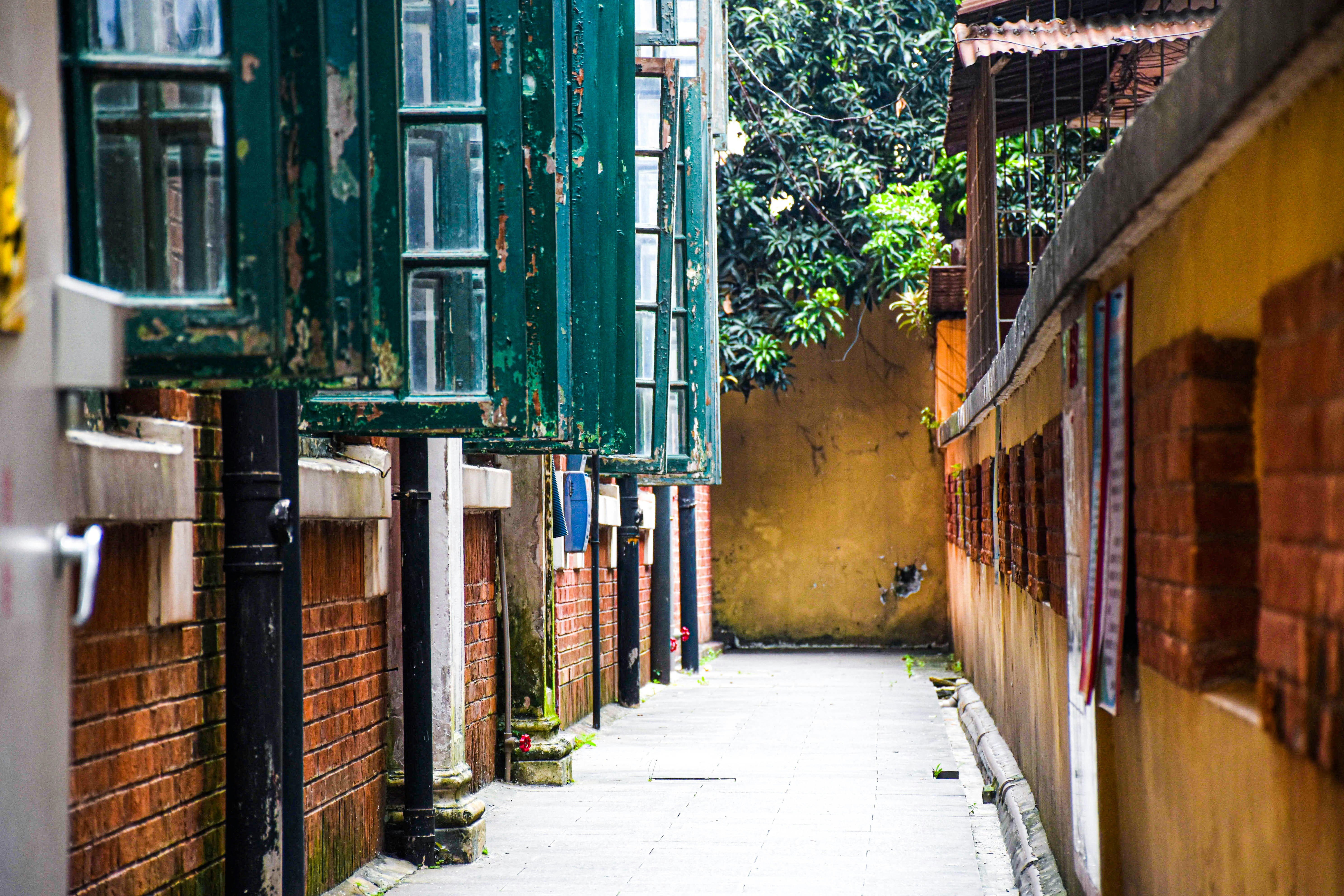 Narrow alleyway flanked by colorful brick and stucco walls under a canopy of lush trees.