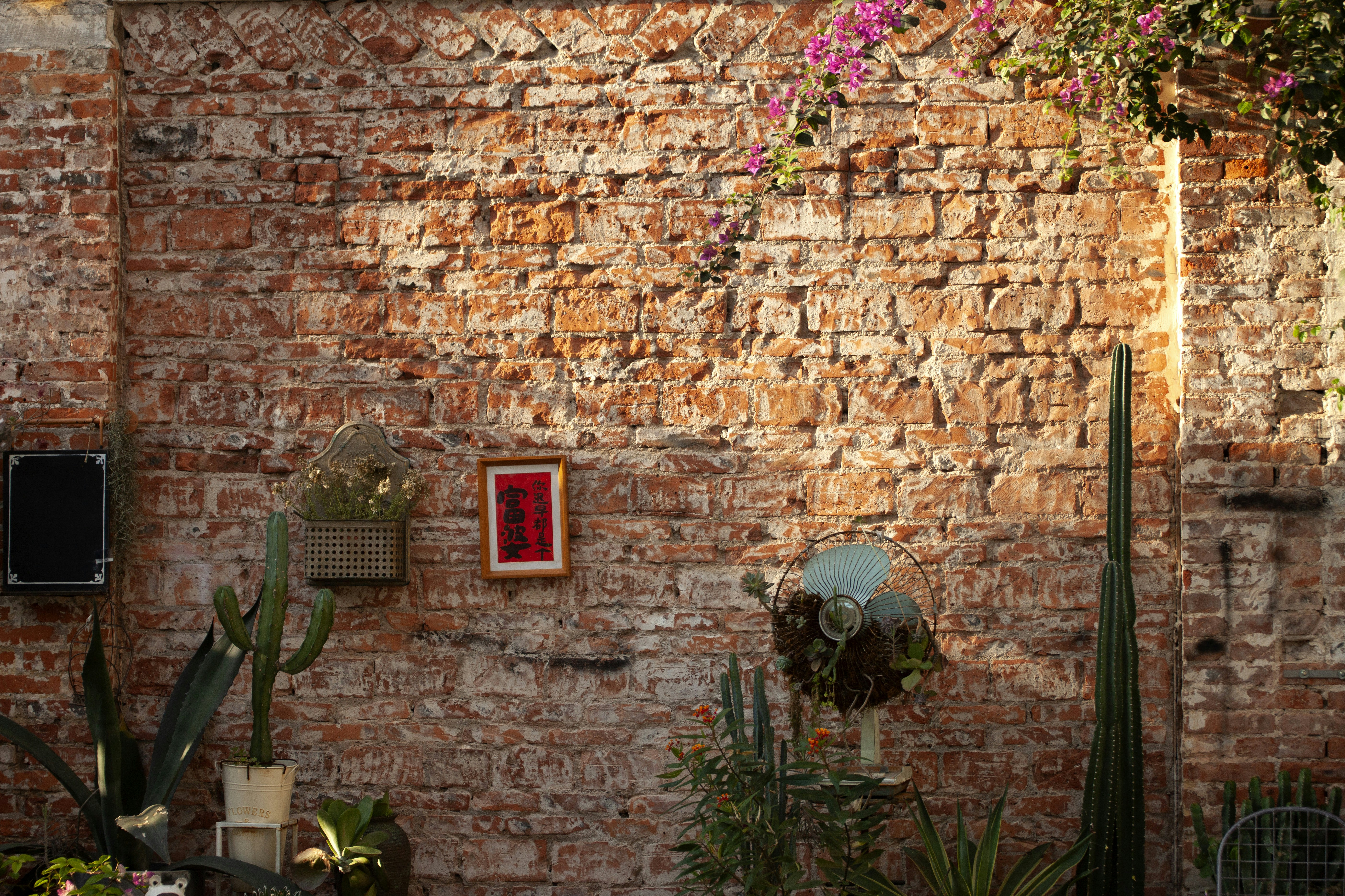 a brick wall with a mirror and potted plants