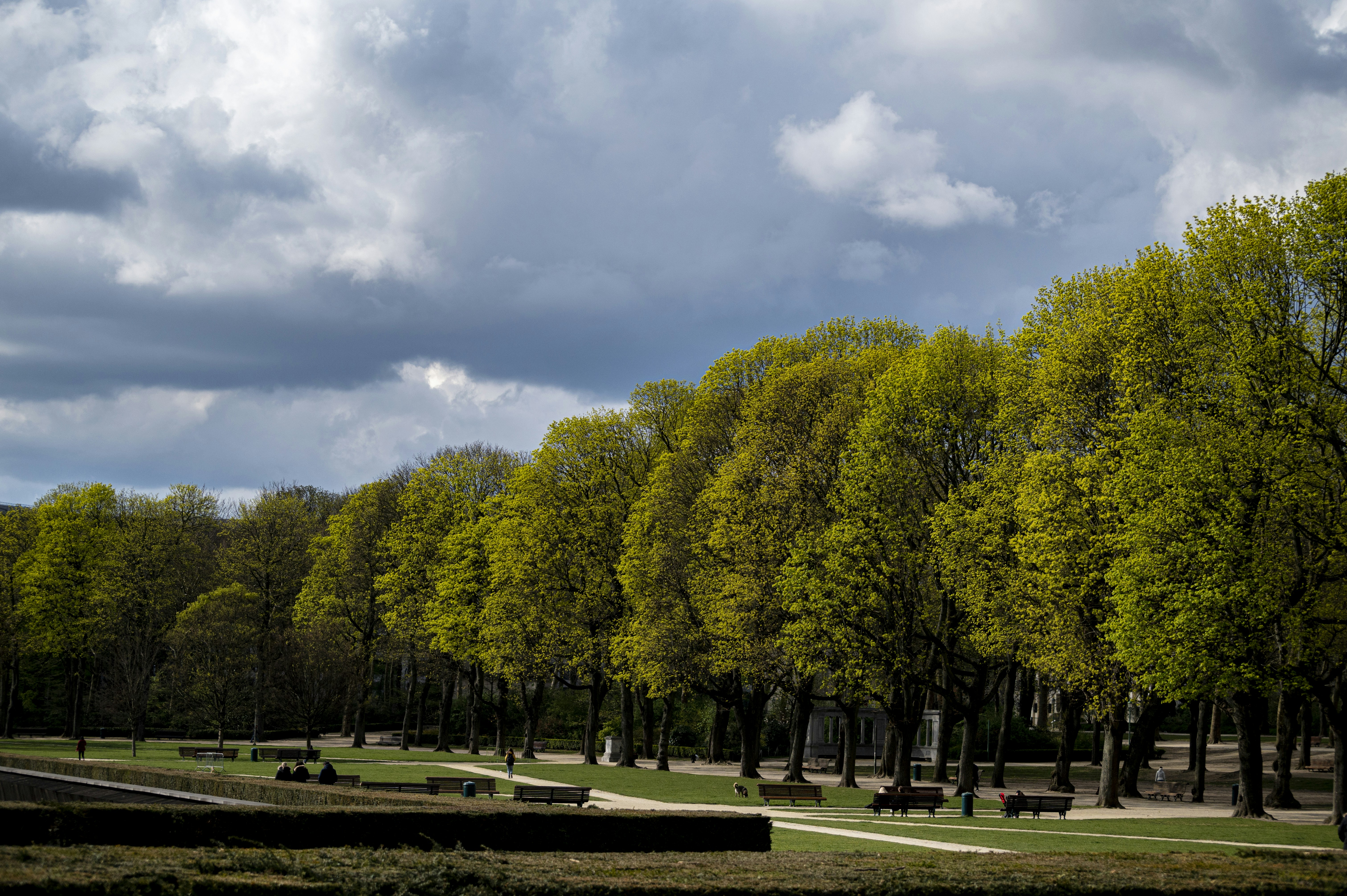 Lush green trees create a vibrant canopy in a tranquil park setting, with benches inviting relaxation. Cloudy skies add depth to the scene.