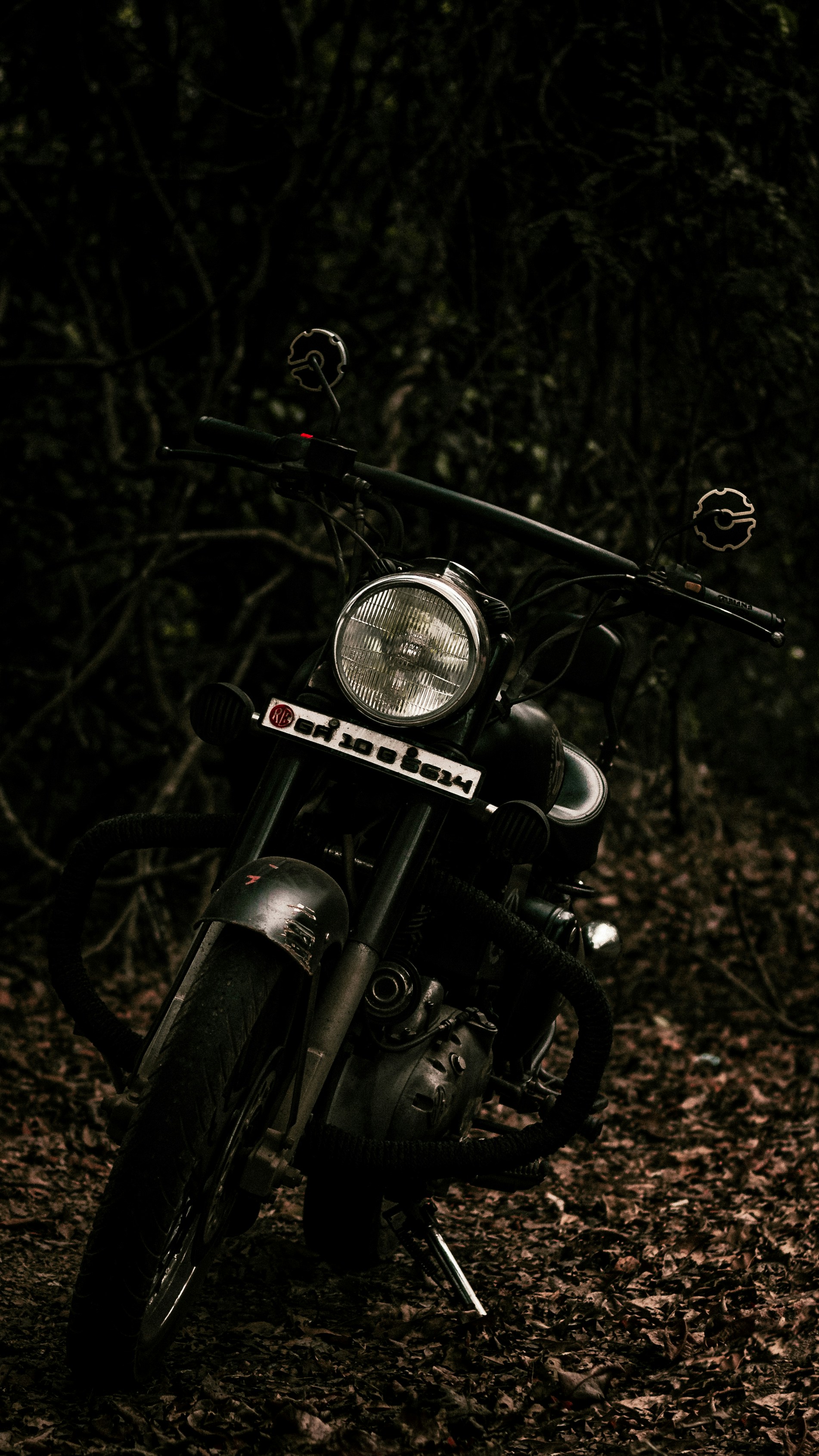 A motorcycle parked in the woods with its lights on photo – Free Light ...
