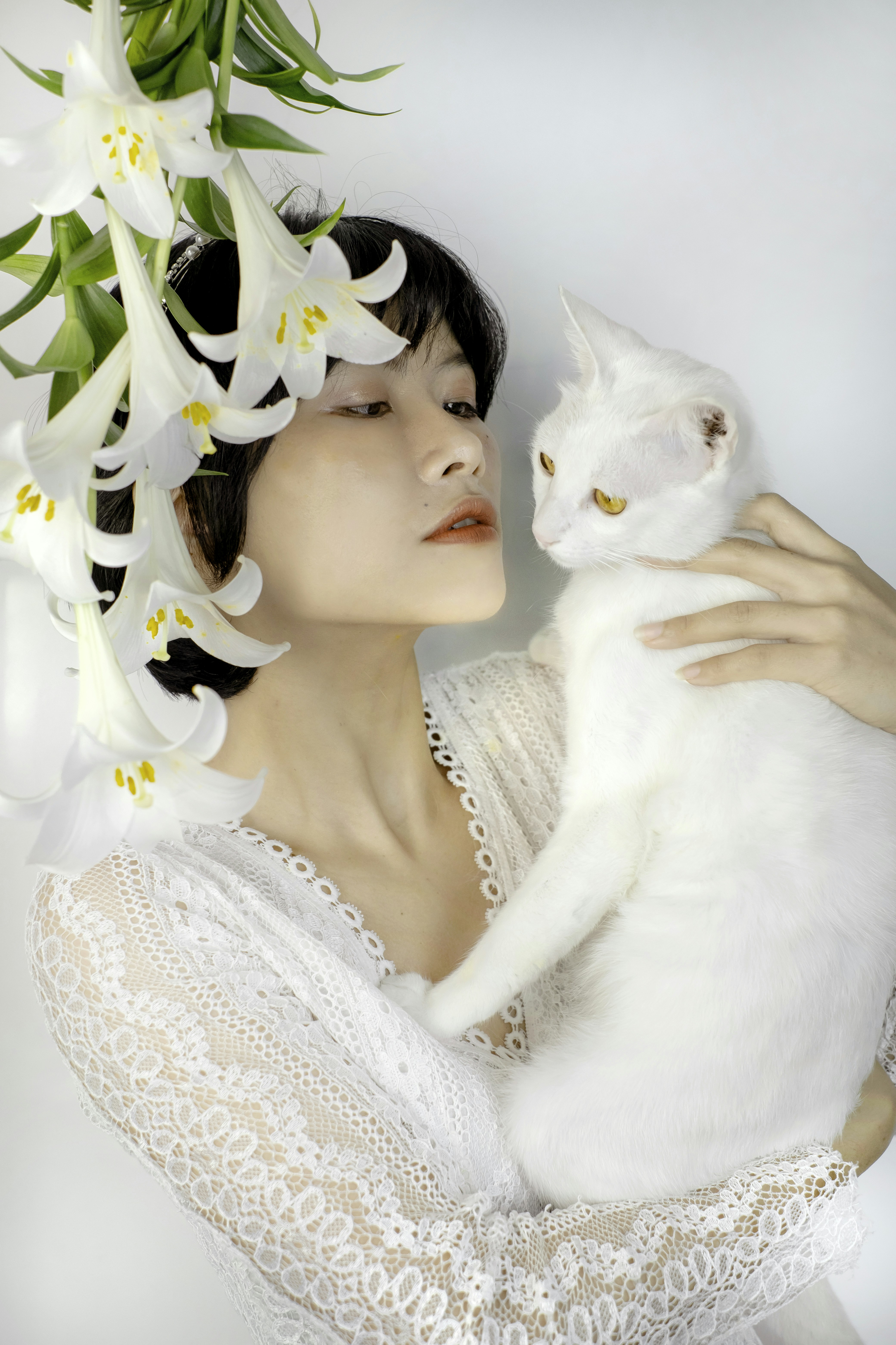 Ivory duet among lilies: lace-clad portrait of a woman and a white cat