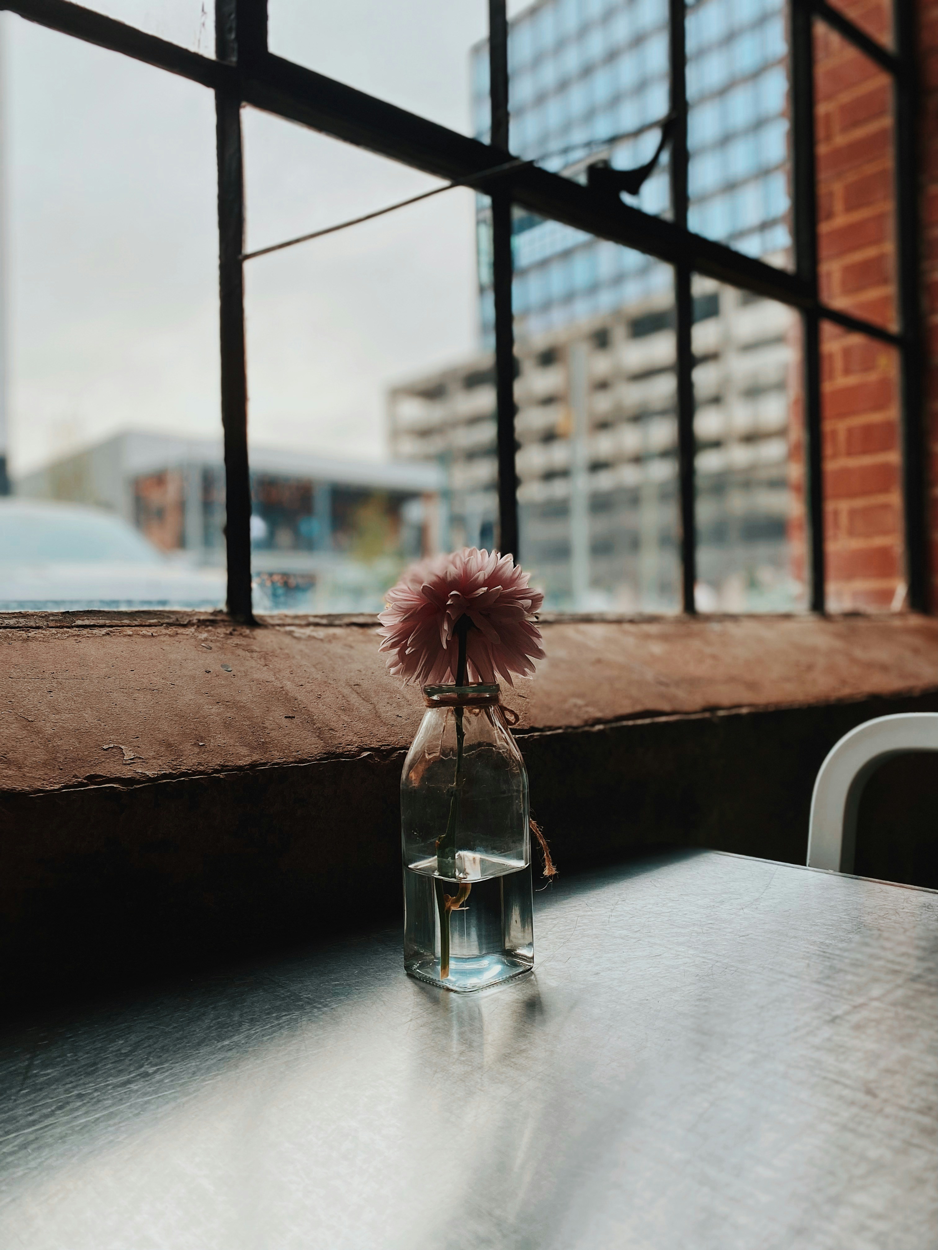 A delicate flower in a glass bottle sits on a metallic table, illuminated by natural light streaming through a window.