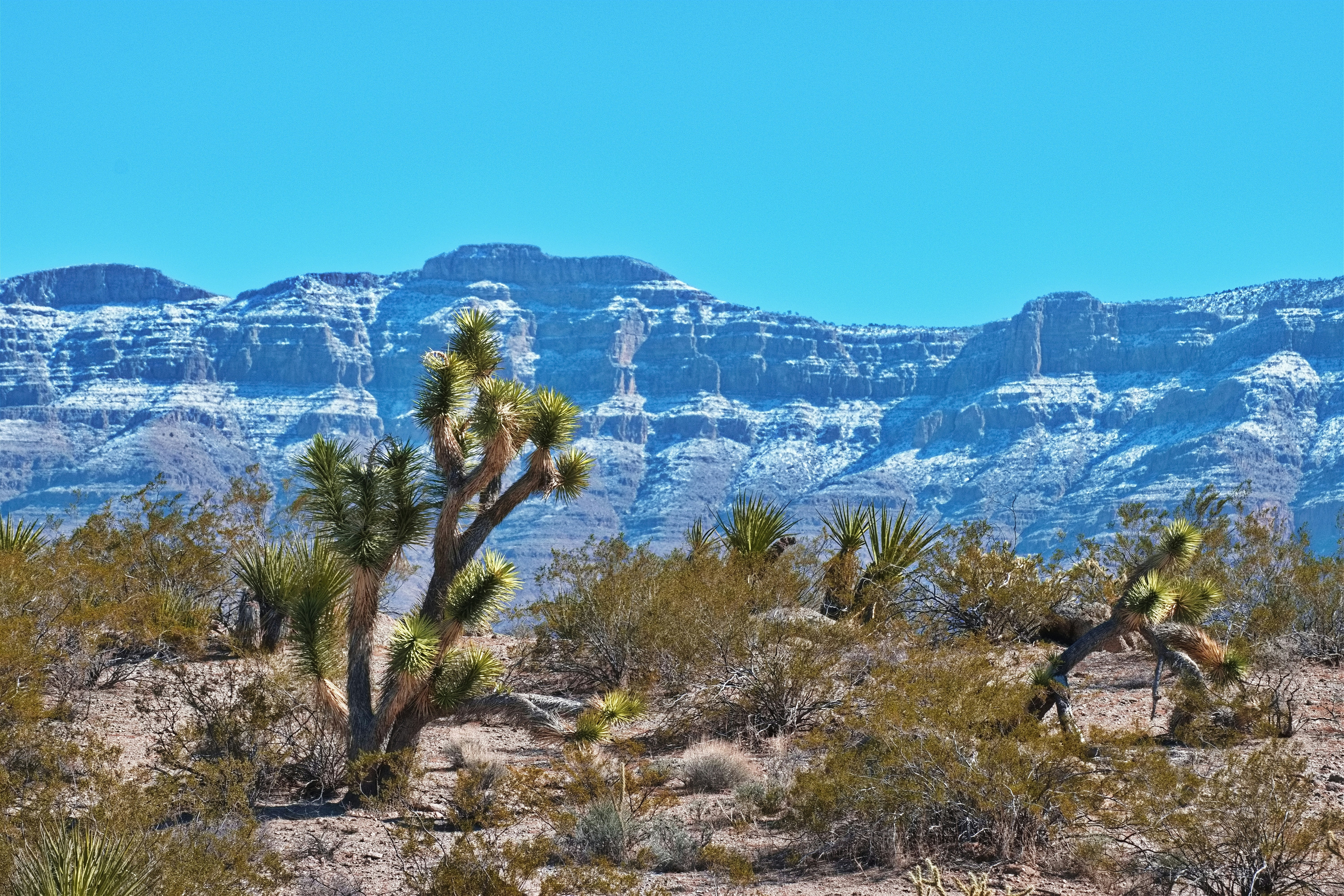 배경에 산맥이있는 사막 사진 – Unsplash의 무료 레이크 미드 국립 휴양지 이미지