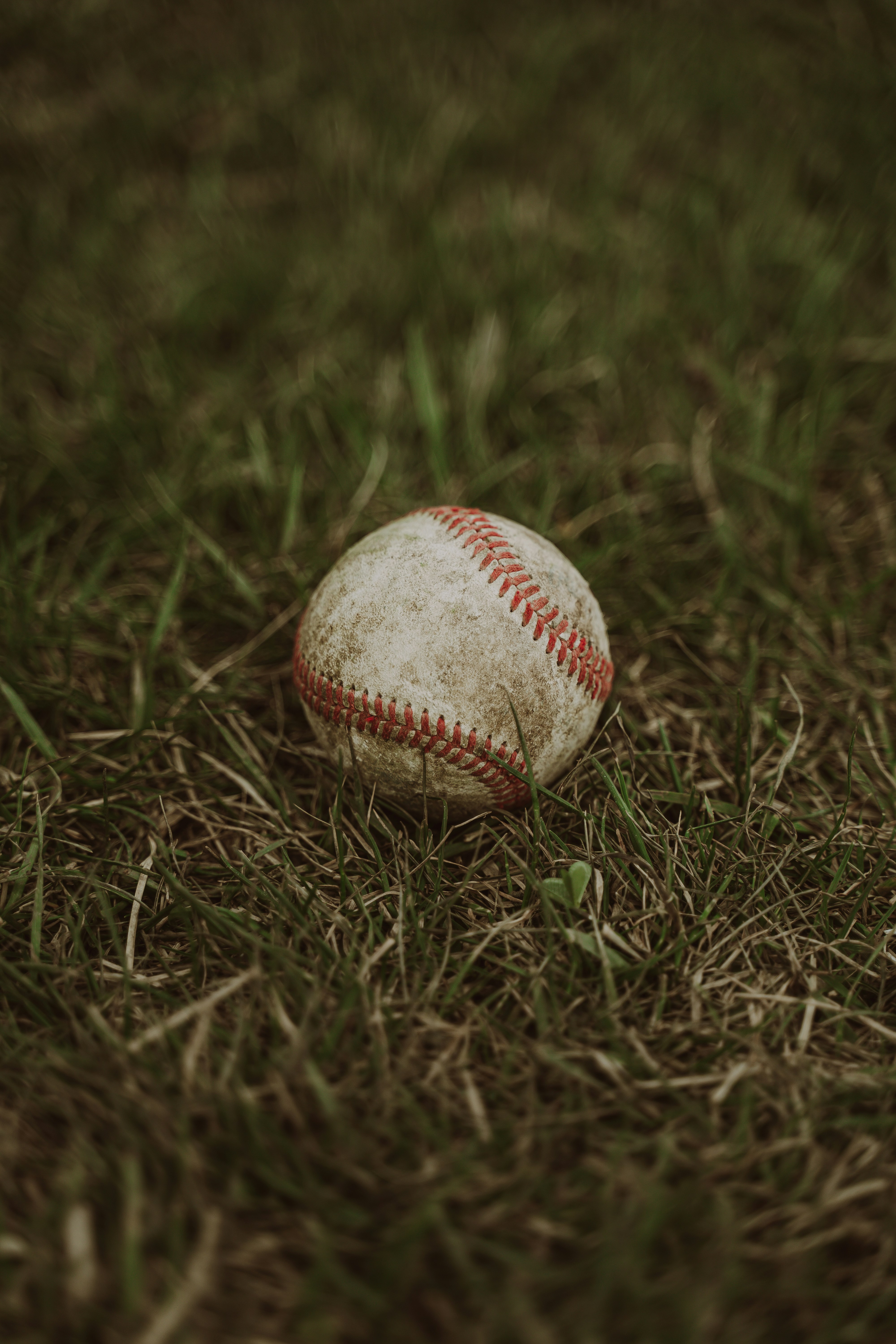 A baseball sitting on top of a lush green field photo – Free New jersey ...