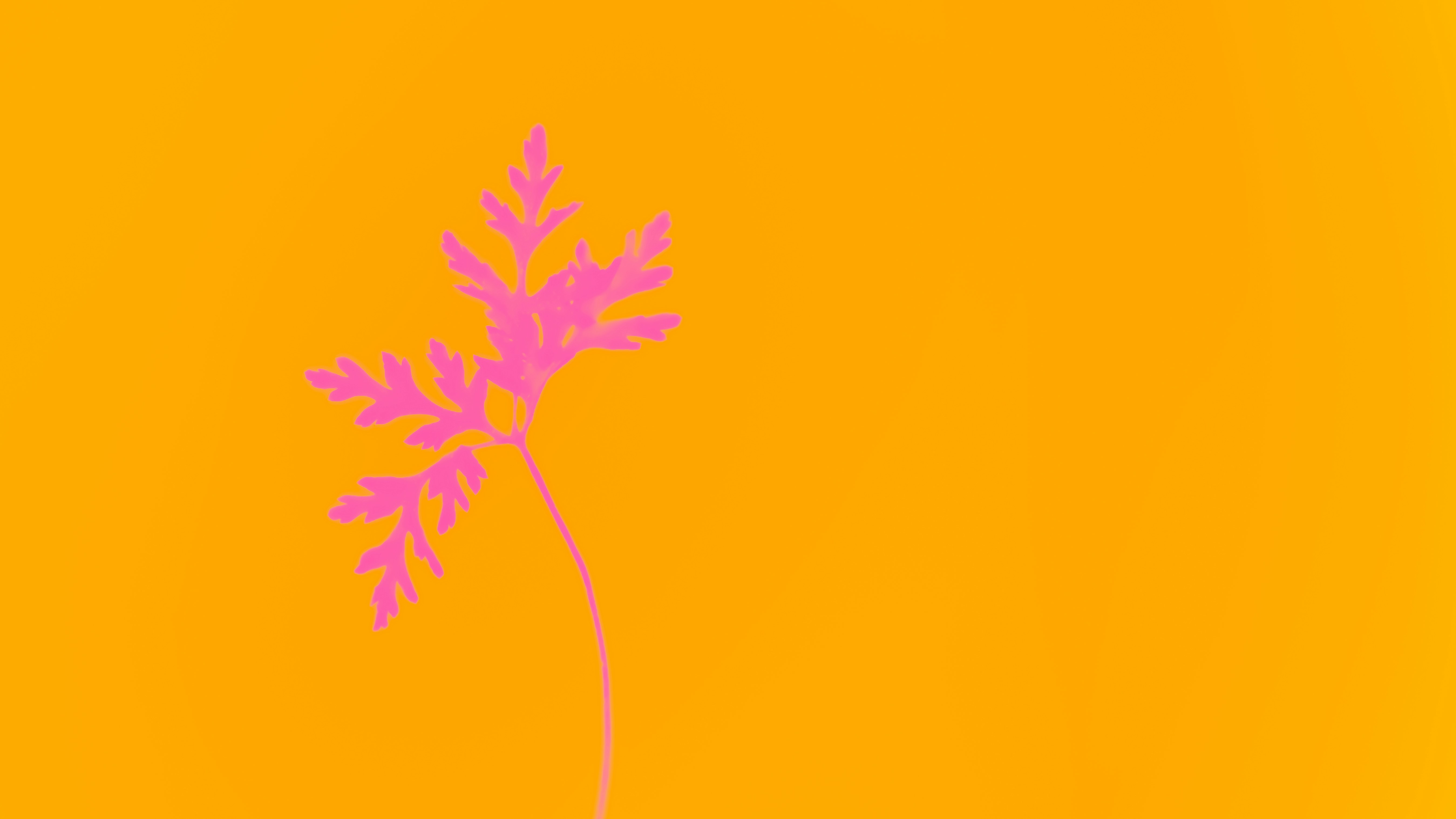 Molten Orange Gradient Cradles a Magenta Fern