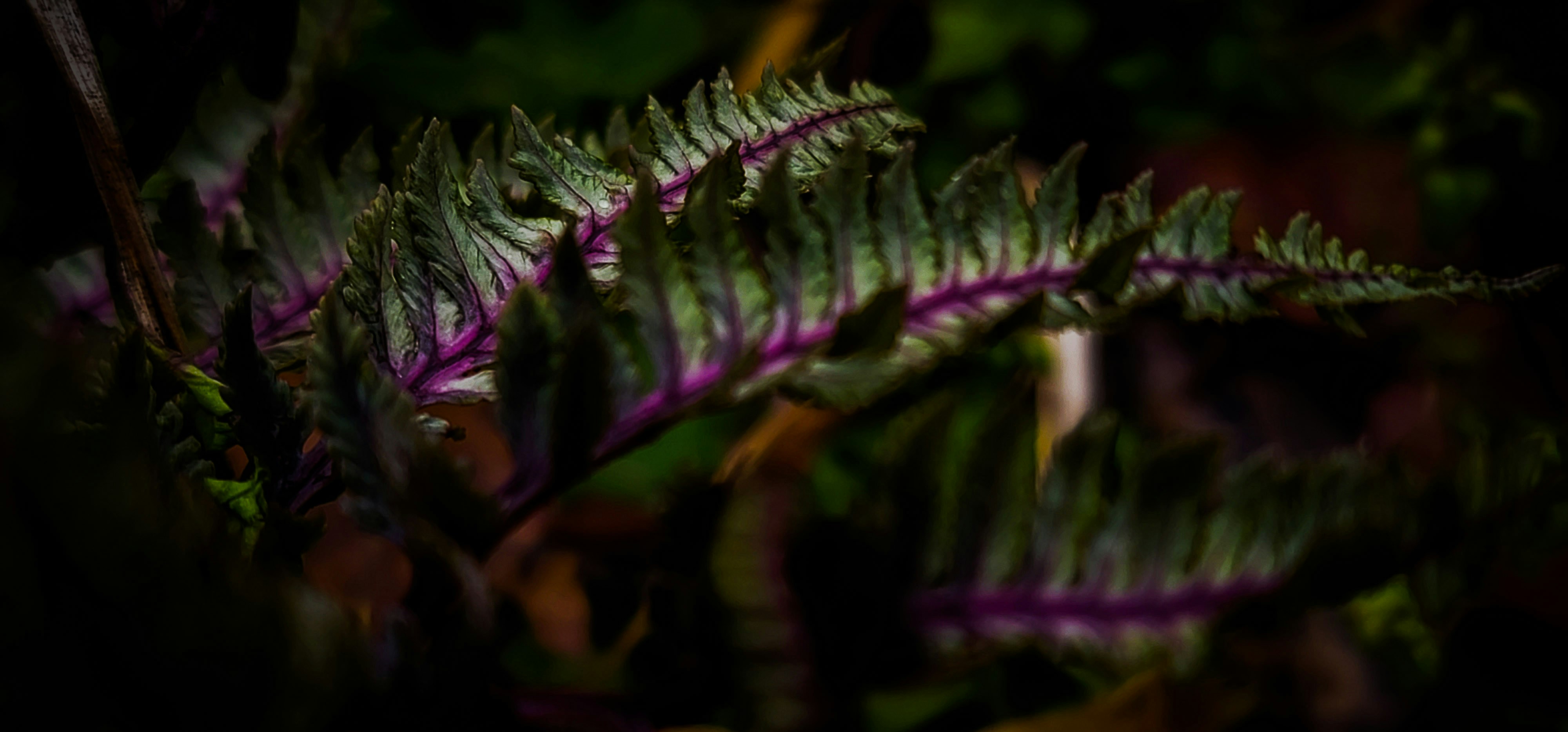 Jessica Kochsmeier (@jessicalee21) | Unsplash 사진 커뮤니티