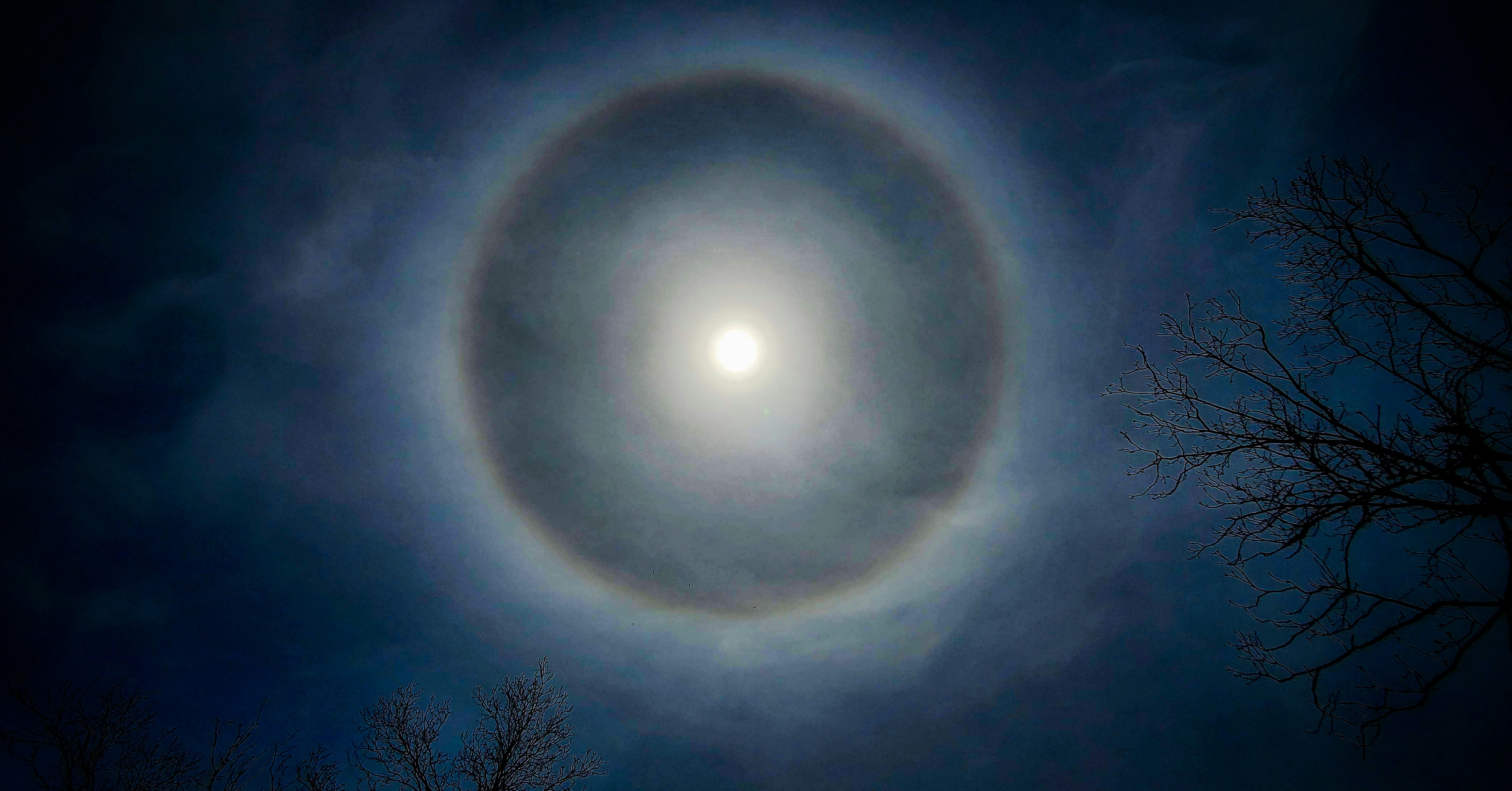 Jessica Kochsmeier (@jessicalee21) | Unsplash 사진 커뮤니티