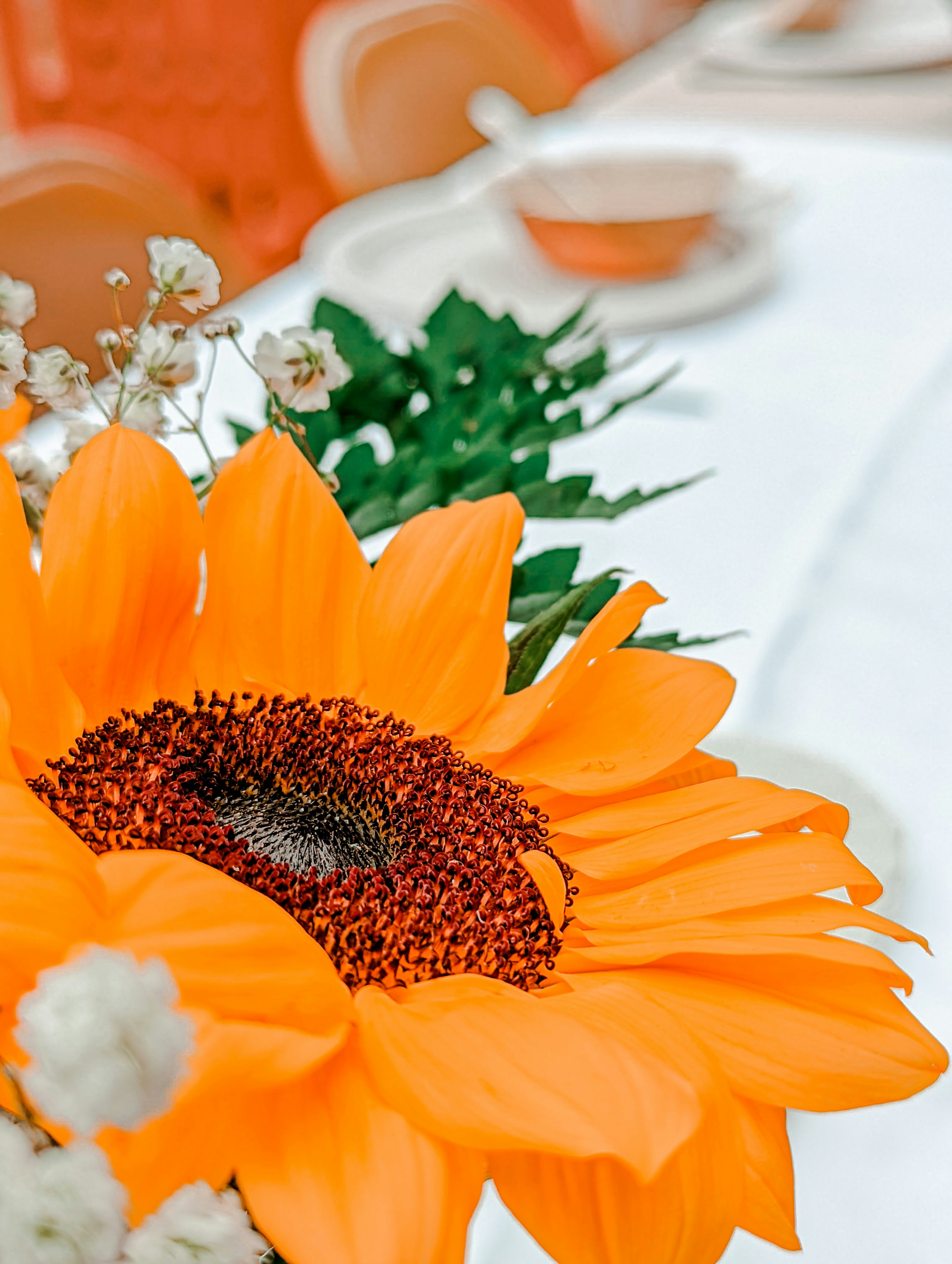 Sunflower in Focus: A Bright Orange Bloom Framing a Quiet Table