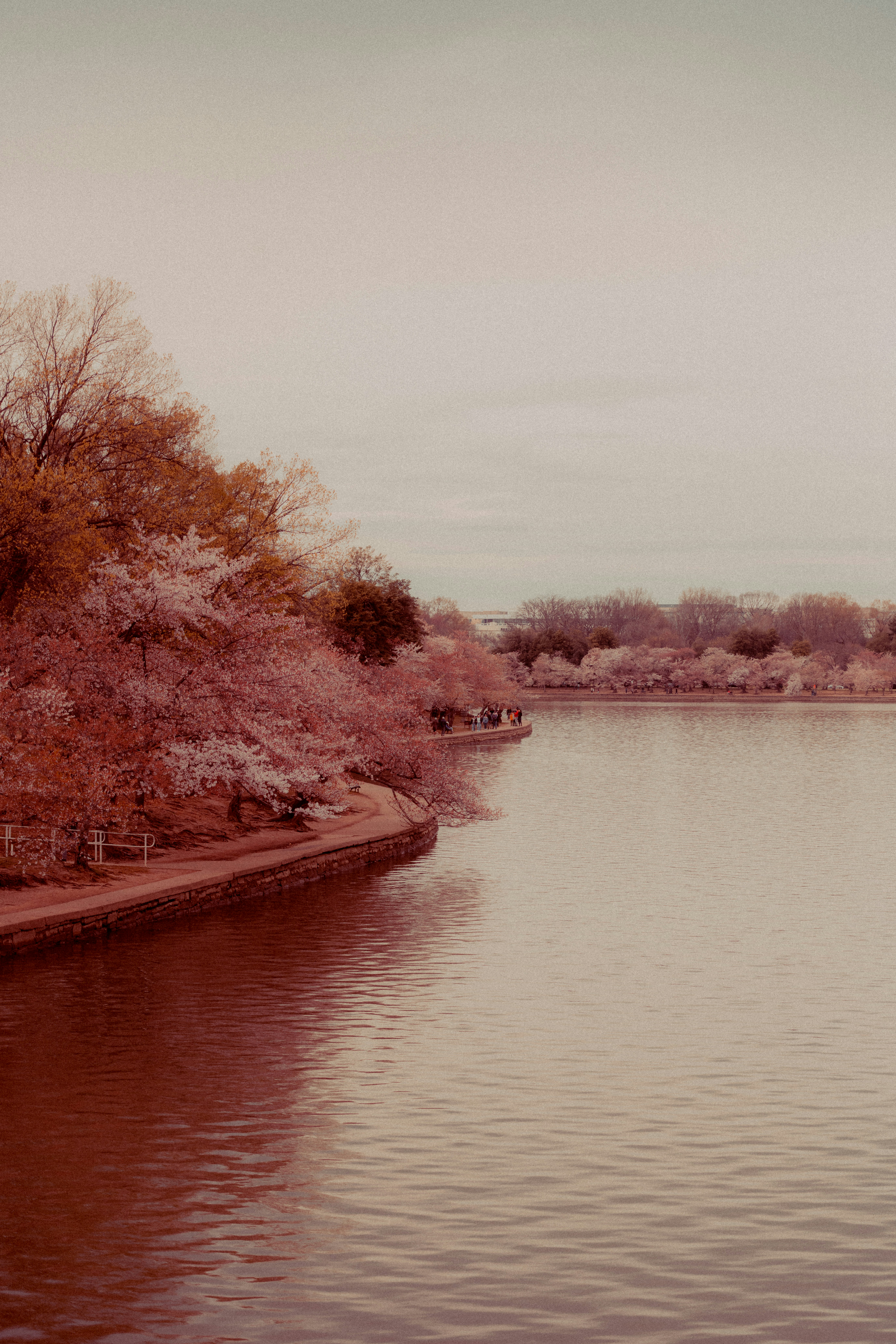 Infrared-tinted Lakeside Promenade at Dusk