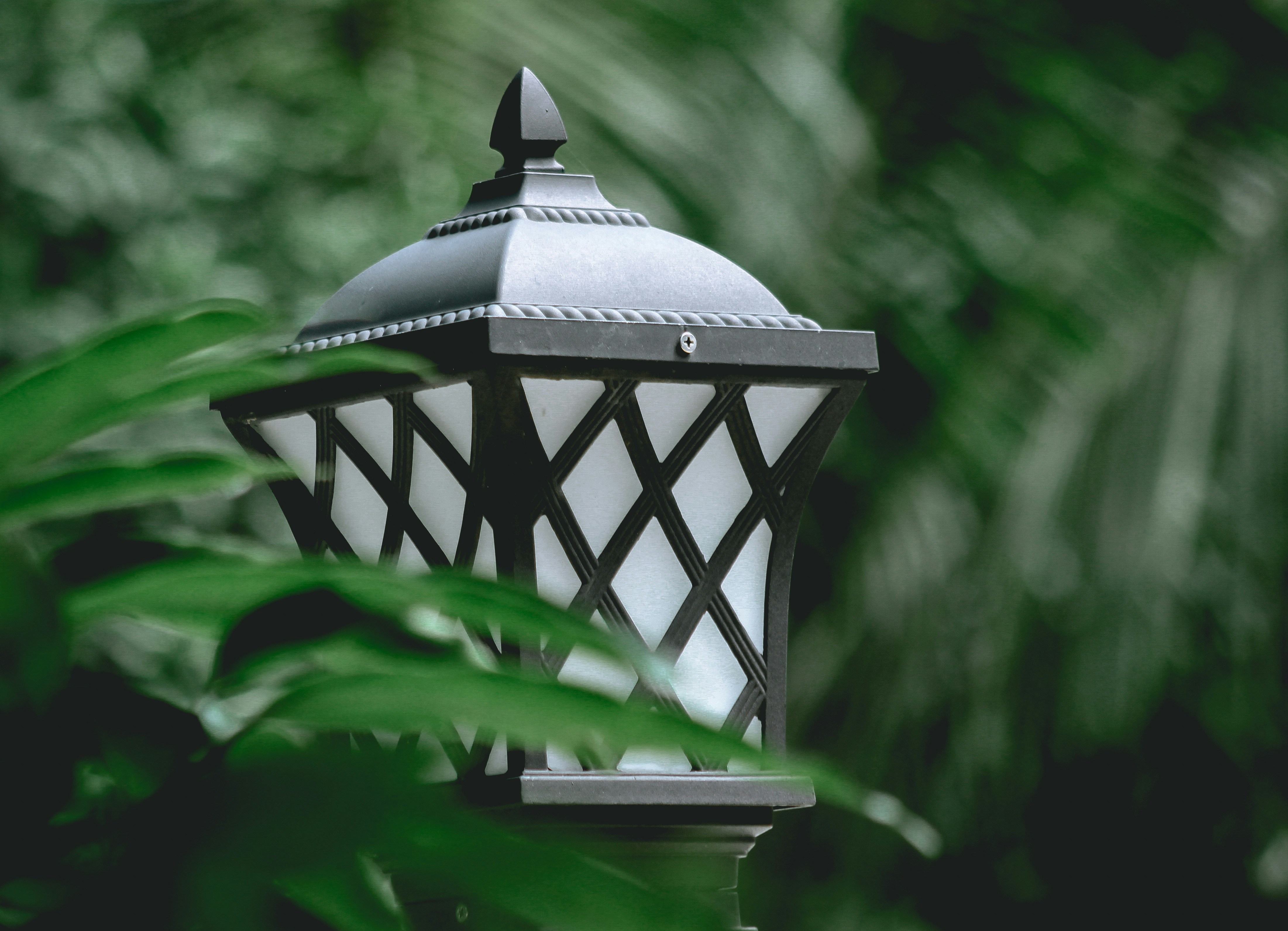 Decorative lantern partially obscured by lush green foliage, creating a harmonious blend with its surroundings.