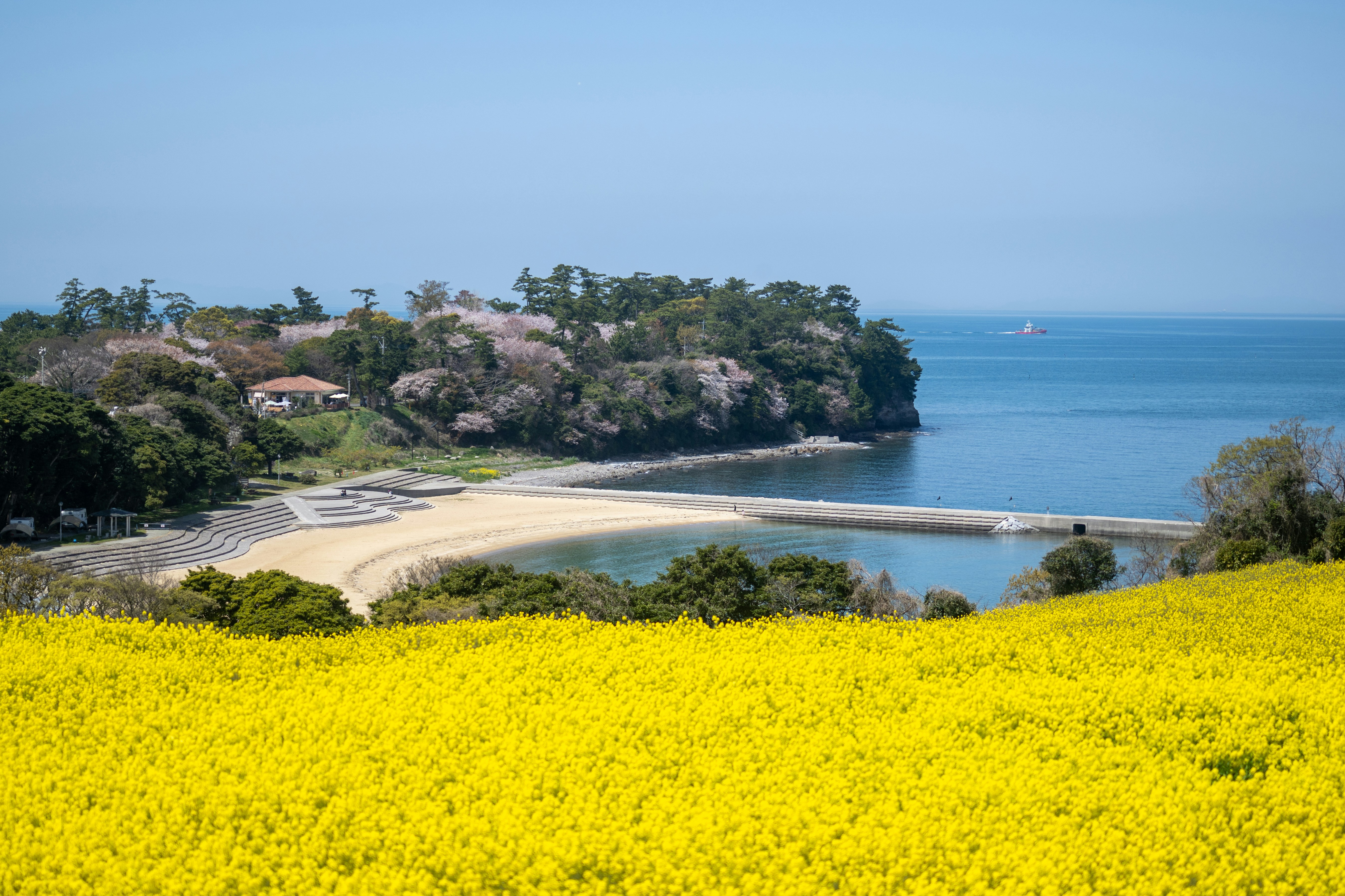Golden Tide Overlooking the Cove
