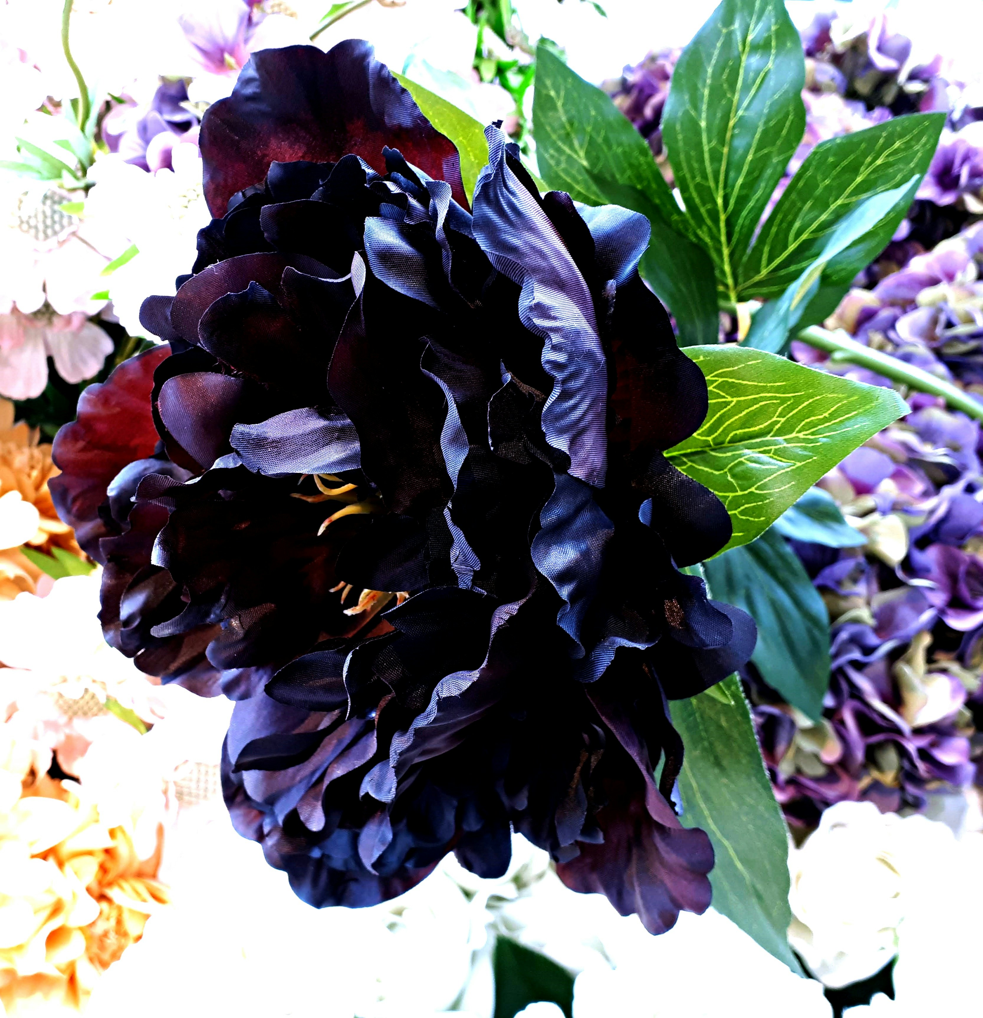 Close-up of a velvety black-purple flower surrounded by vivid green leaves and pastel blooms in a lush bouquet.