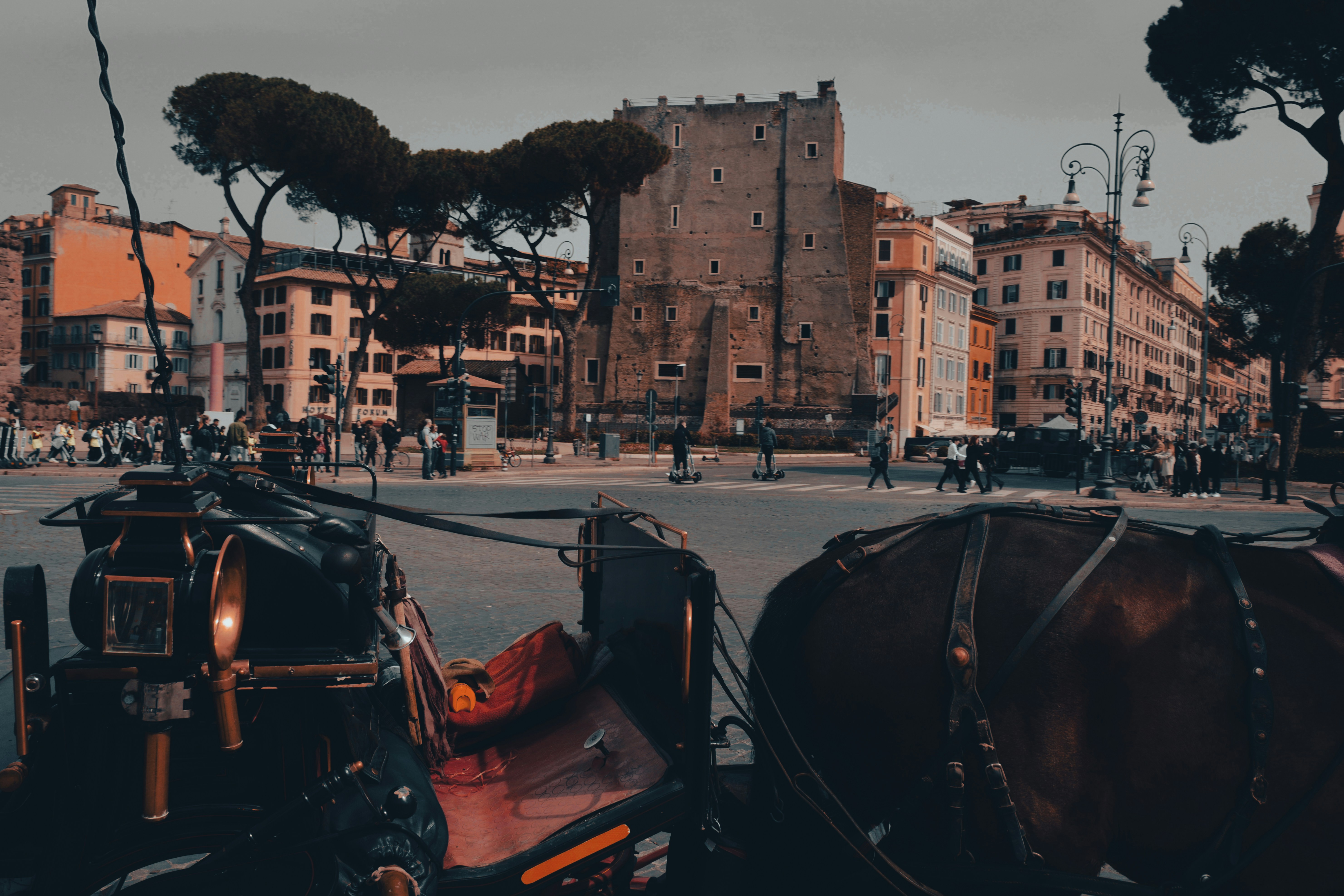 Dusk in the Carriage Square: Horse-Drawn Framing a Medieval Tower
