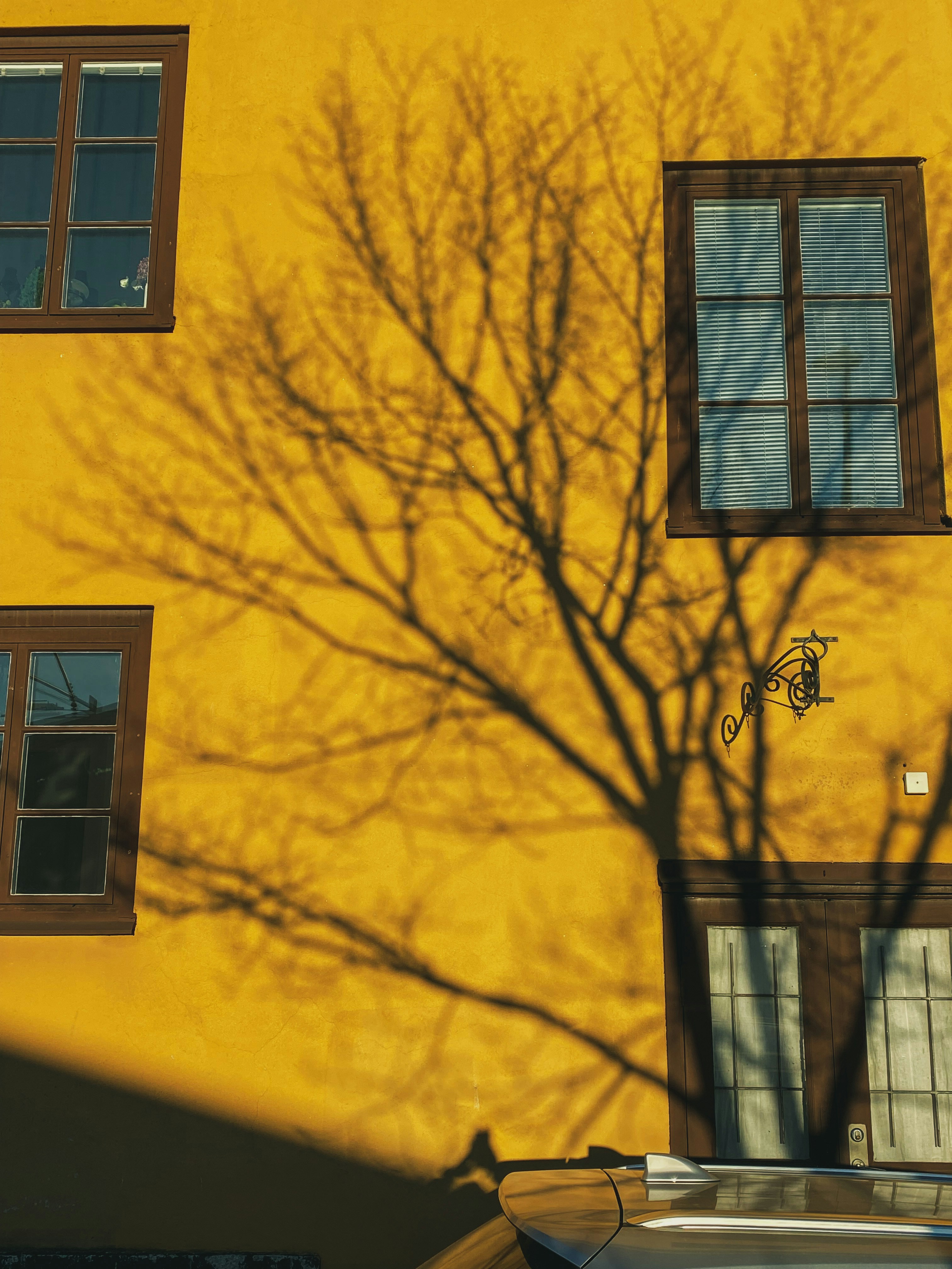Shadow of the Tree on a Sunlit Yellow Facade